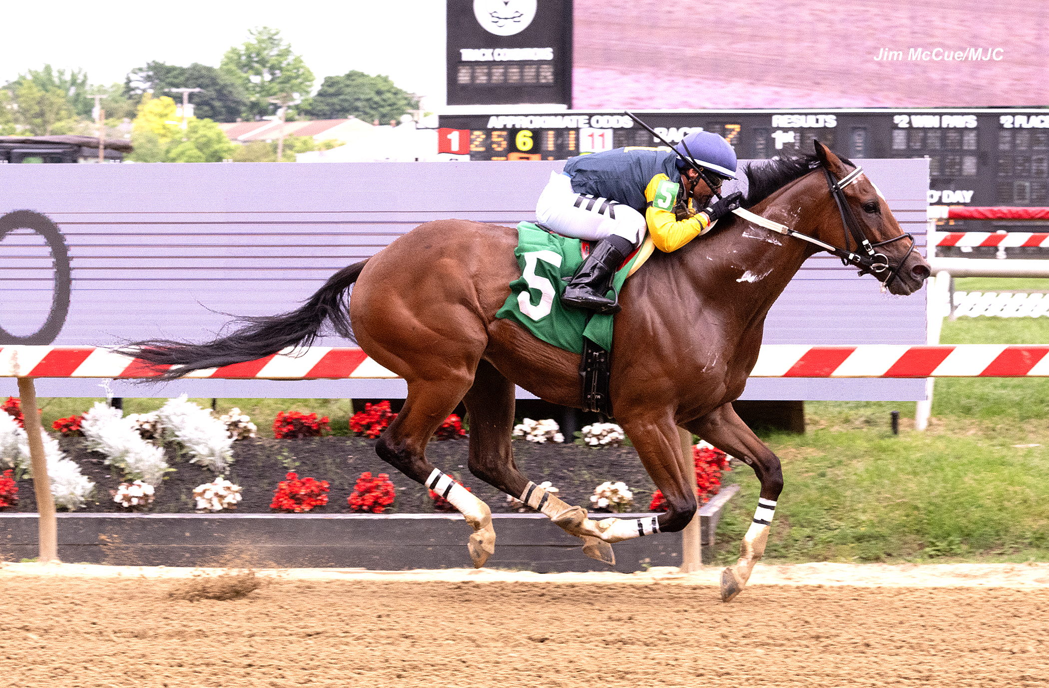 Rominski Rolls in Stakes-Quality Allowance Feature - Past The Wire