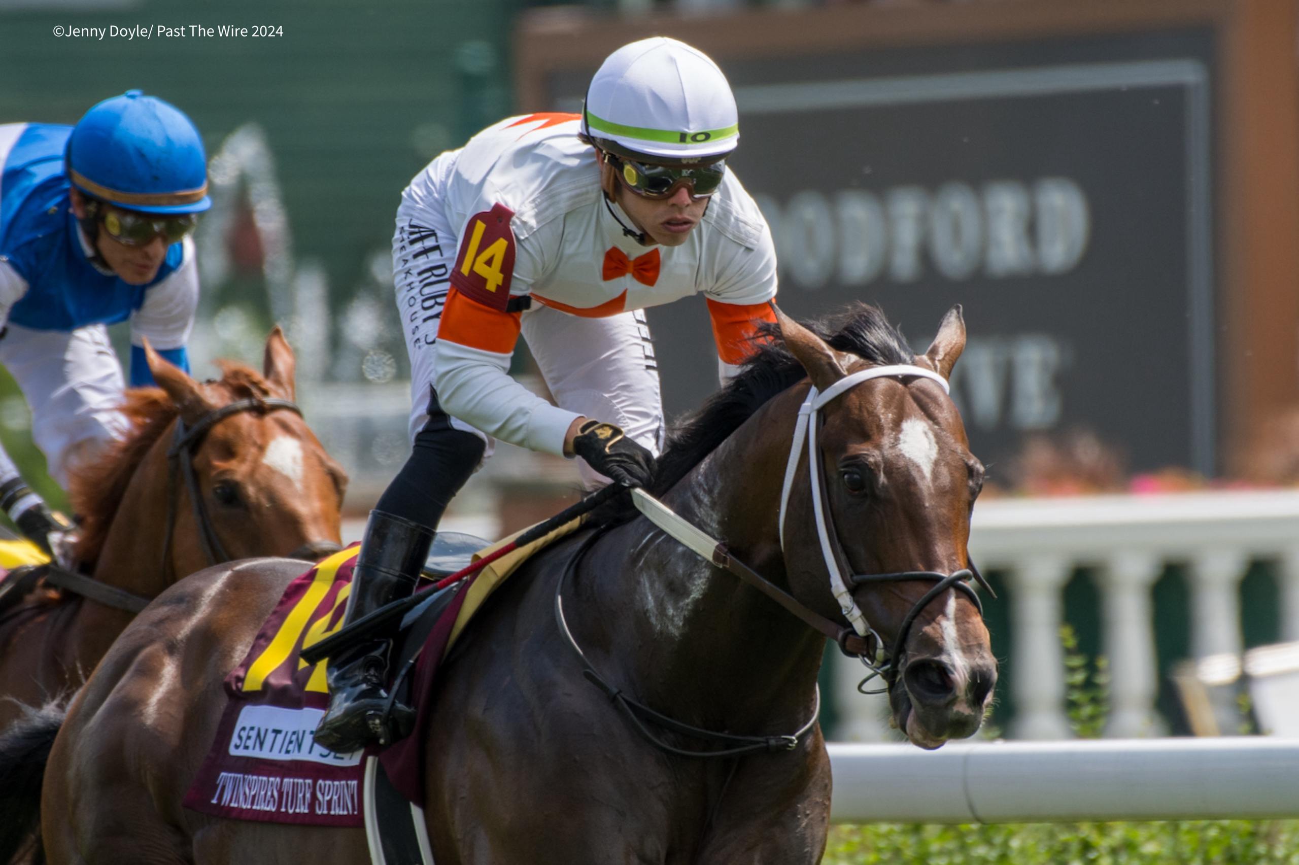 Cogburn Dominates In Twin Spires Turf Sprint - Past The Wire