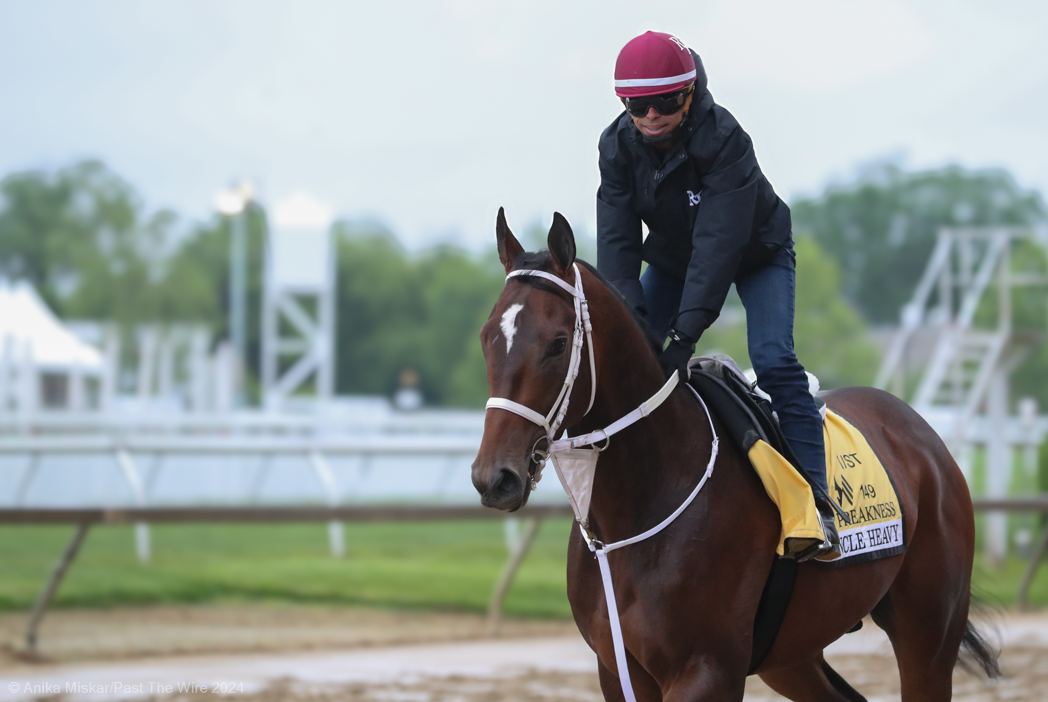 Uncle Heavy Enjoys a Little Splash on the Track - Past The Wire