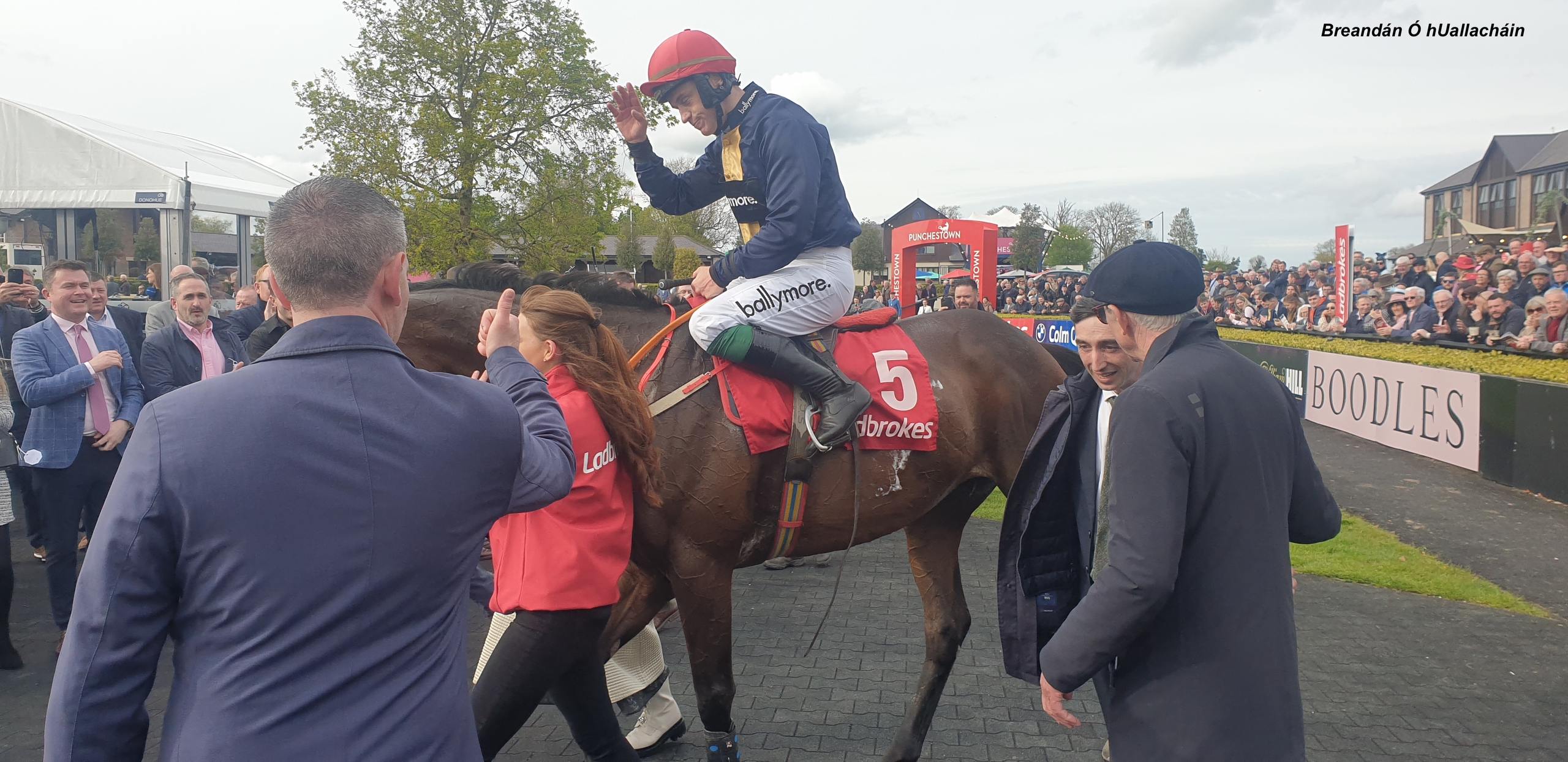 Fastorslow Wins Second Punchestown Gold Cup - Past The Wire