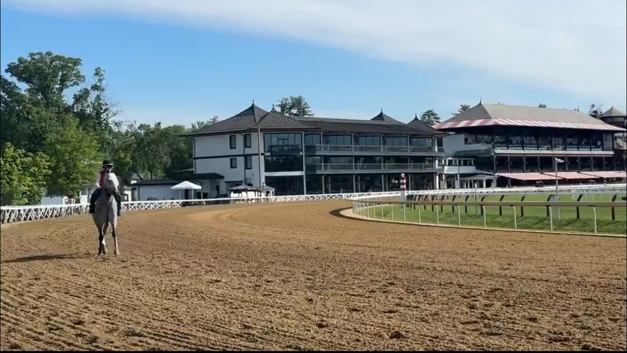 The Belmont Stakes by The Thorograph Numbers and Patterns - Past The Wire