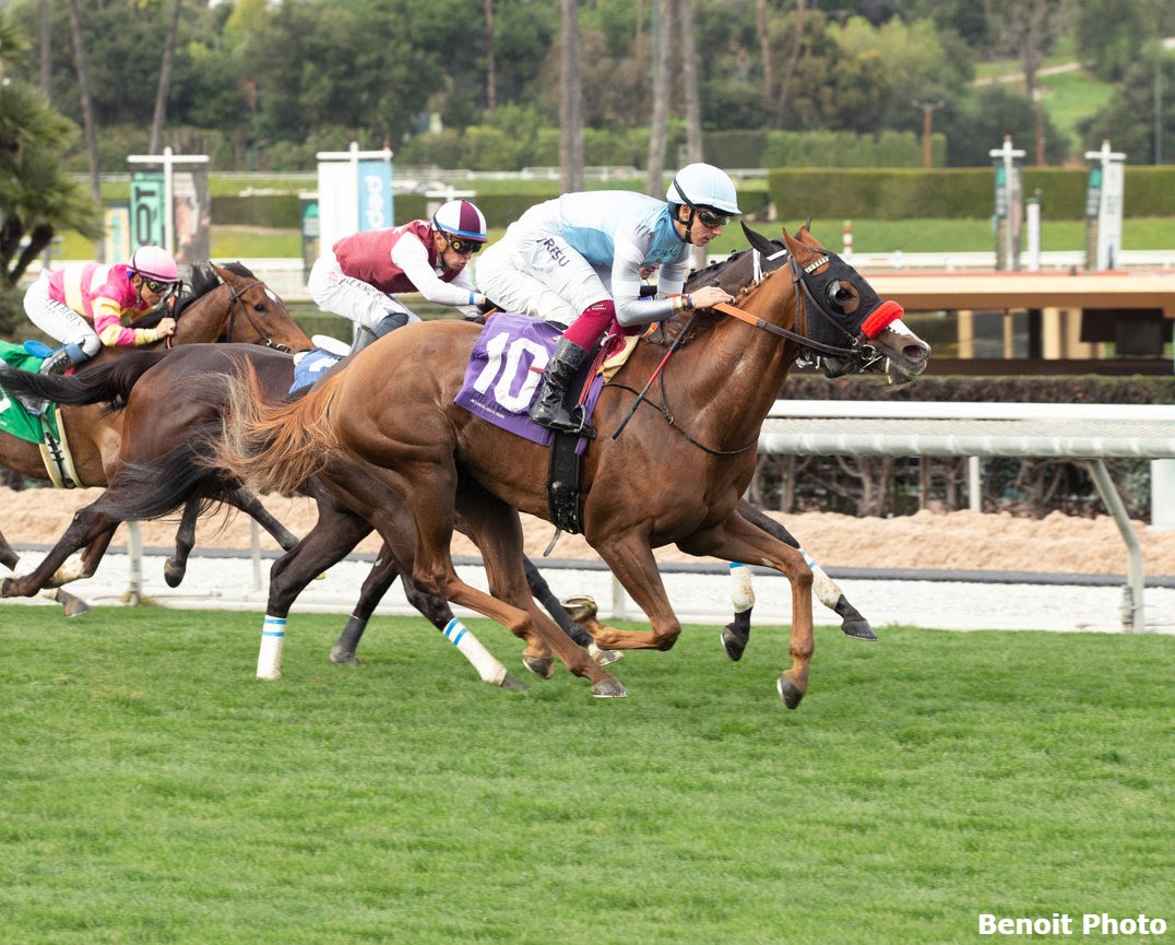 Miss Lizzy Shortens up in Competitive Mizdirection - Past The Wire