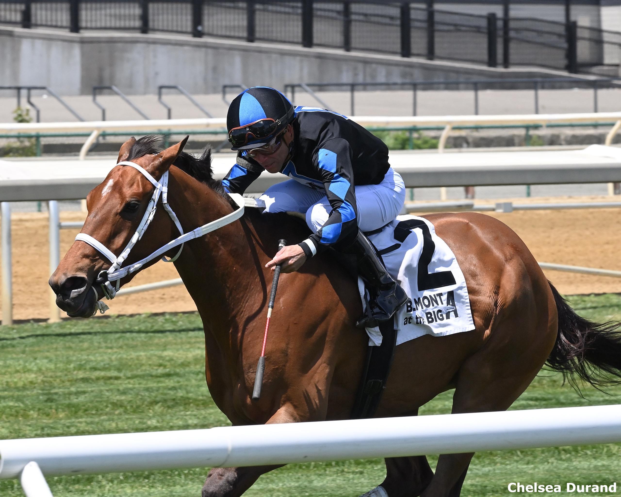Neecie Marie G1 Debut in $750K New York - Past The Wire