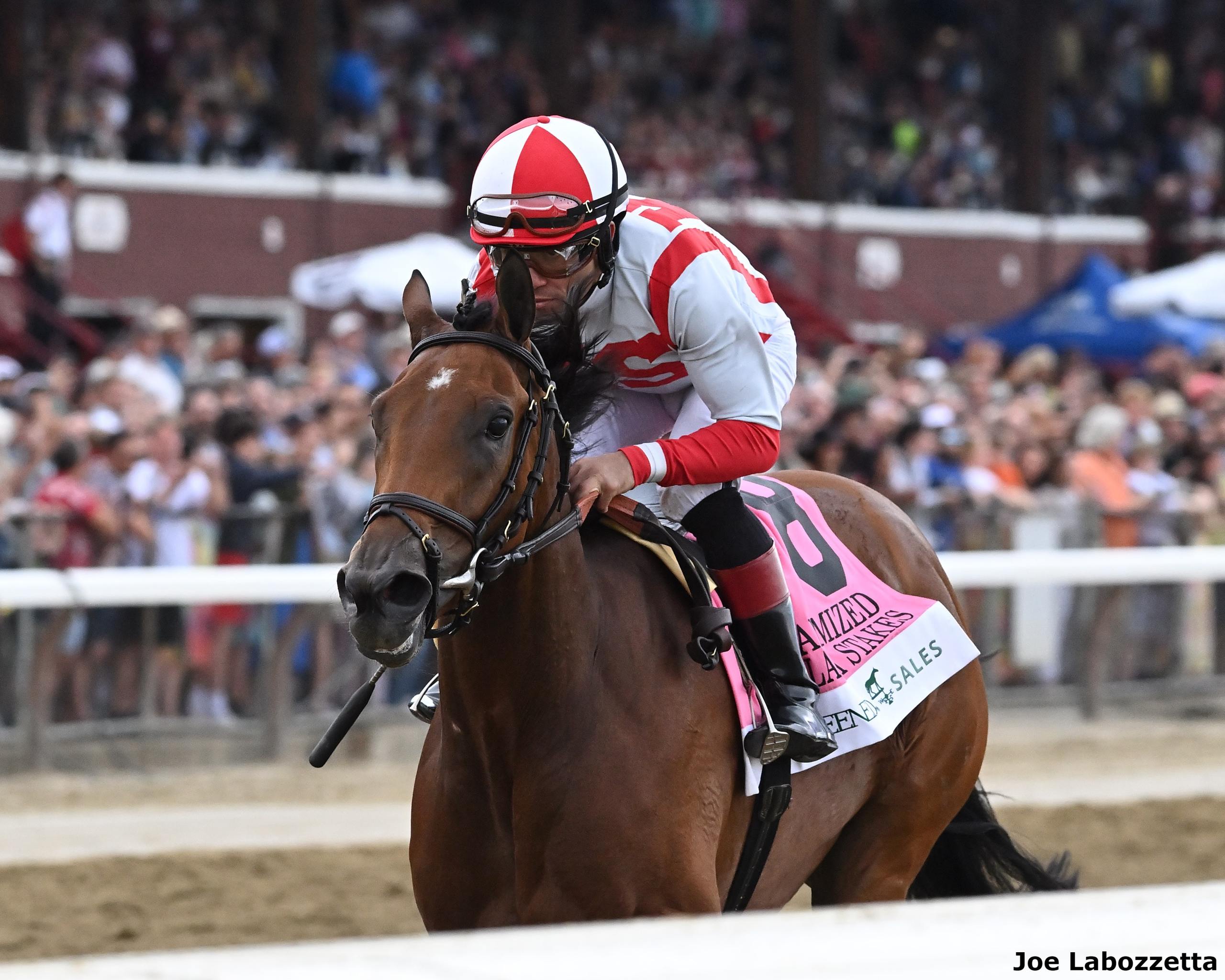 Grade 1 Winner Randomized Returns in G2 Ruffian - Past The Wire