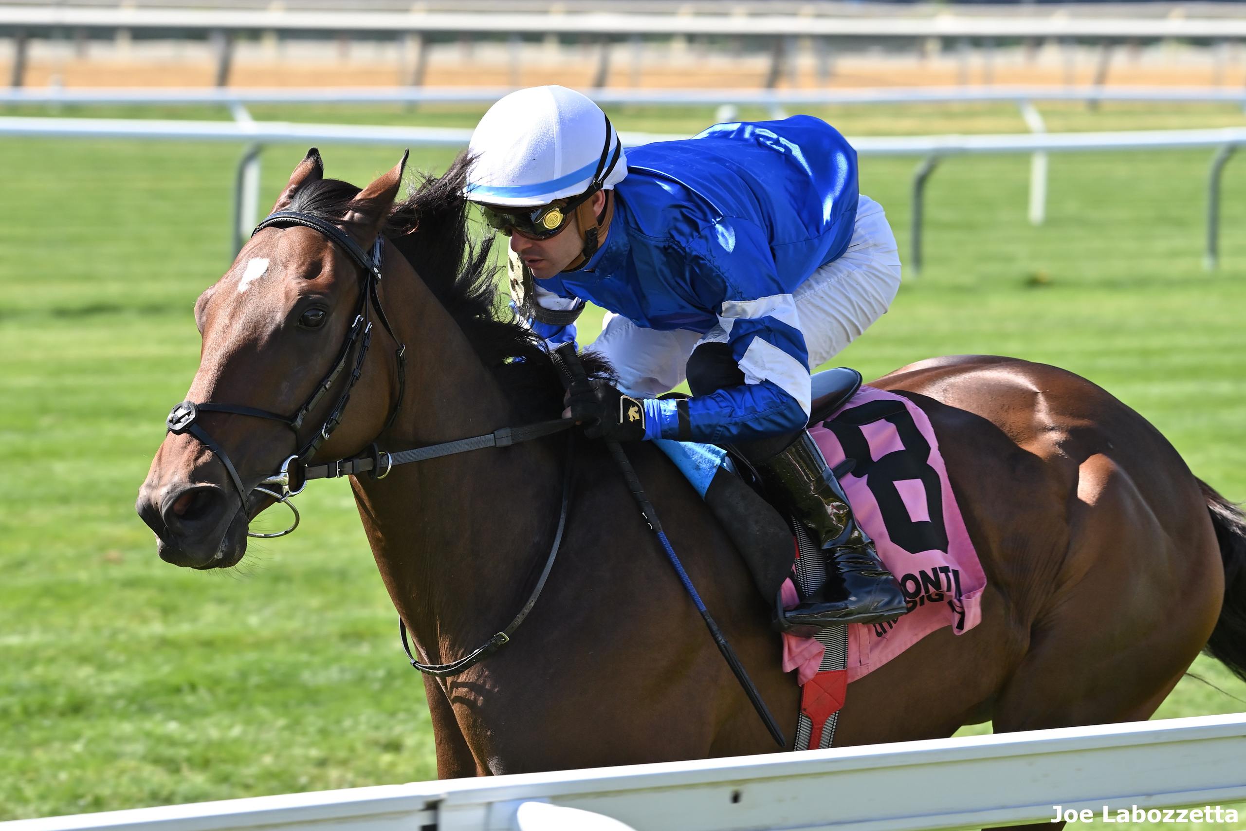 Silver Knott Dominates in G2 Man o’ War - Past The Wire
