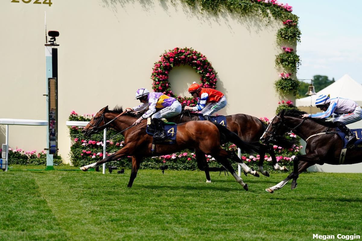 Going The Distance Swoops to Victory in G1 King George V - Past The Wire