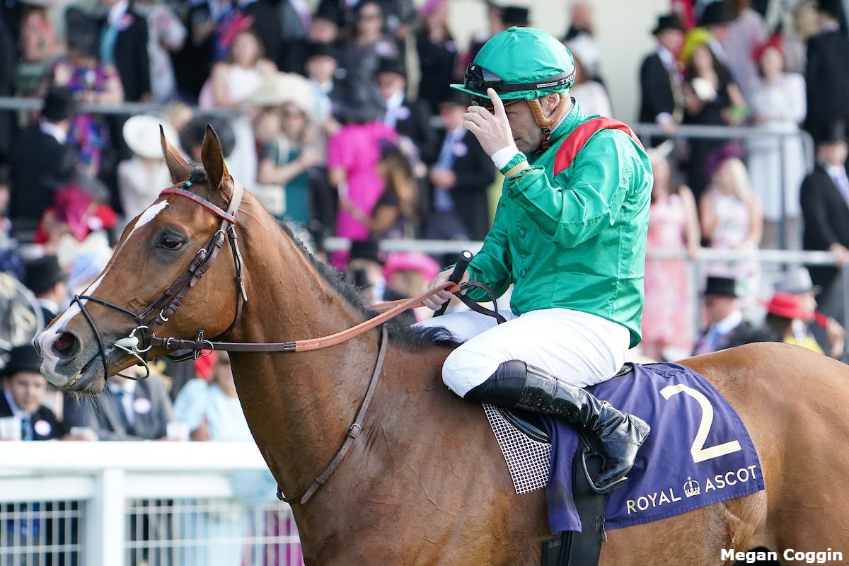 Calandagan Dominates G2 King Edward VII - Past The Wire