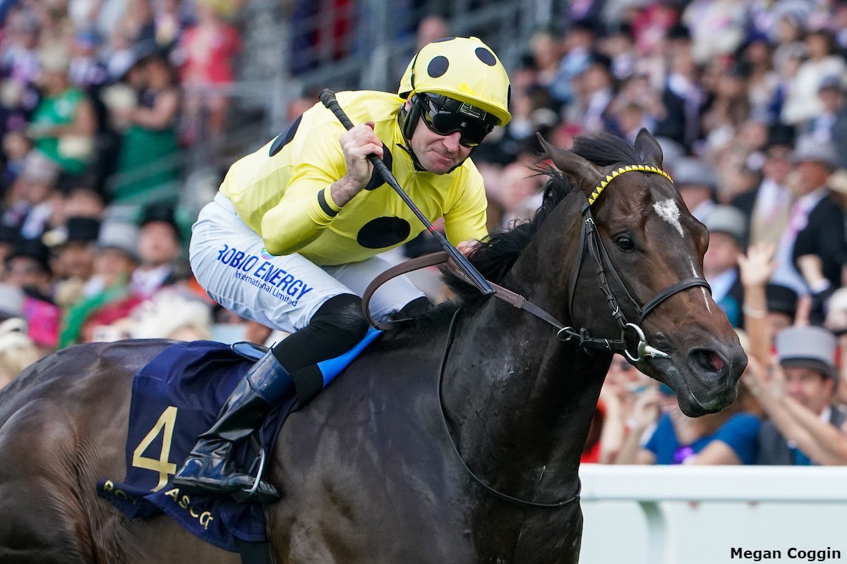 Inisherin Posts Impressive Victory in G1 Commonwealth Cup - Past The Wire