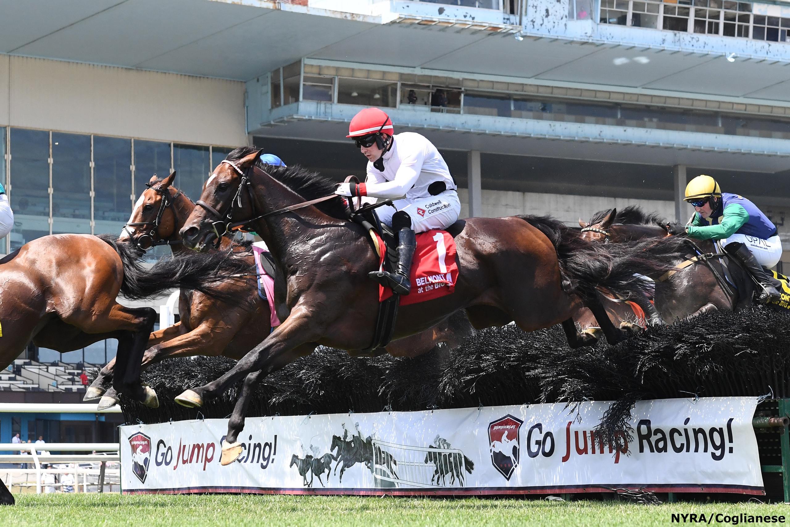Inaugural Running of G1 Beverly R. Steinman Goes to L’Imperator - Past ...