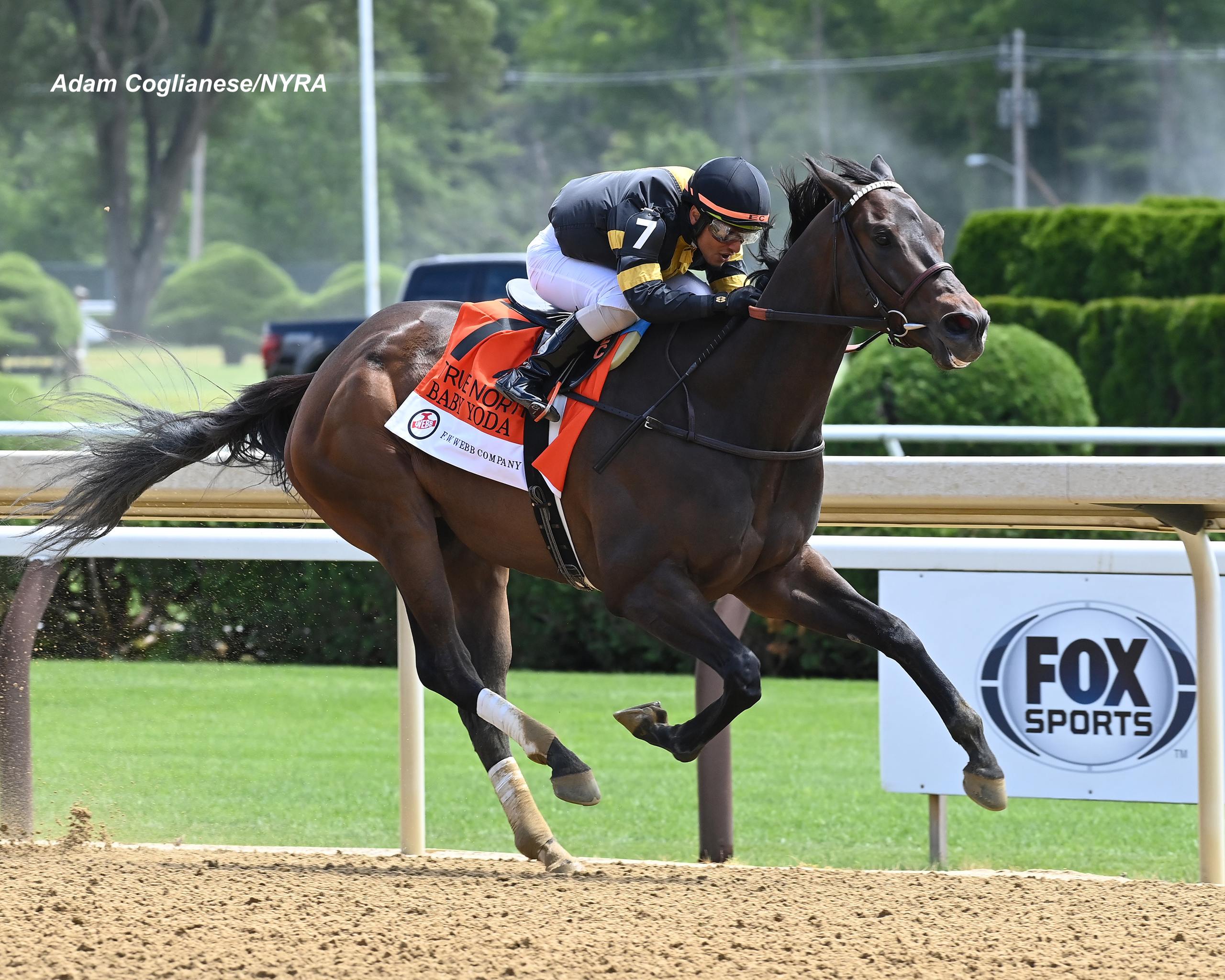 Resilience Baffles, Baby Yoda Thrills - Past The Wire