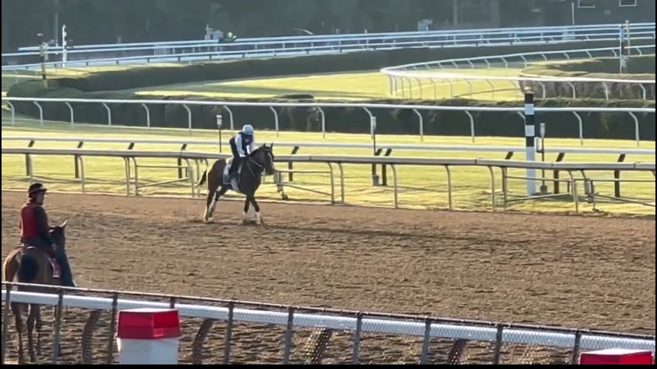 Charles Trent and Race Lens Preview The Manhattan and Belmont Stakes ...