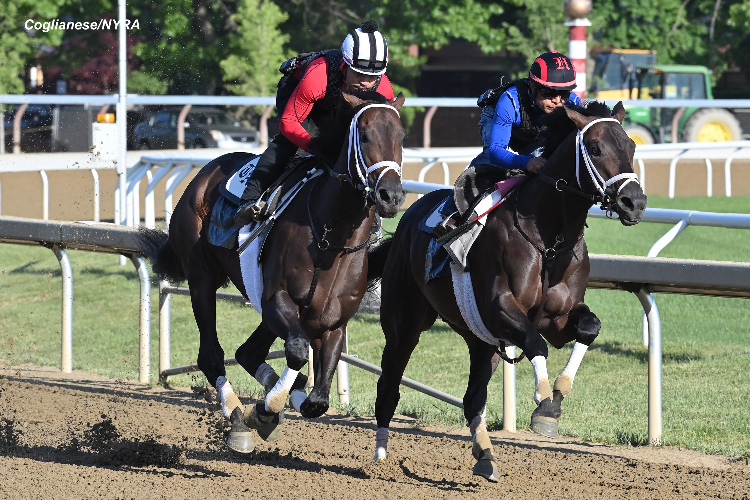 Fierceness, Mindframe Probs for G1 Haskell - Past The Wire