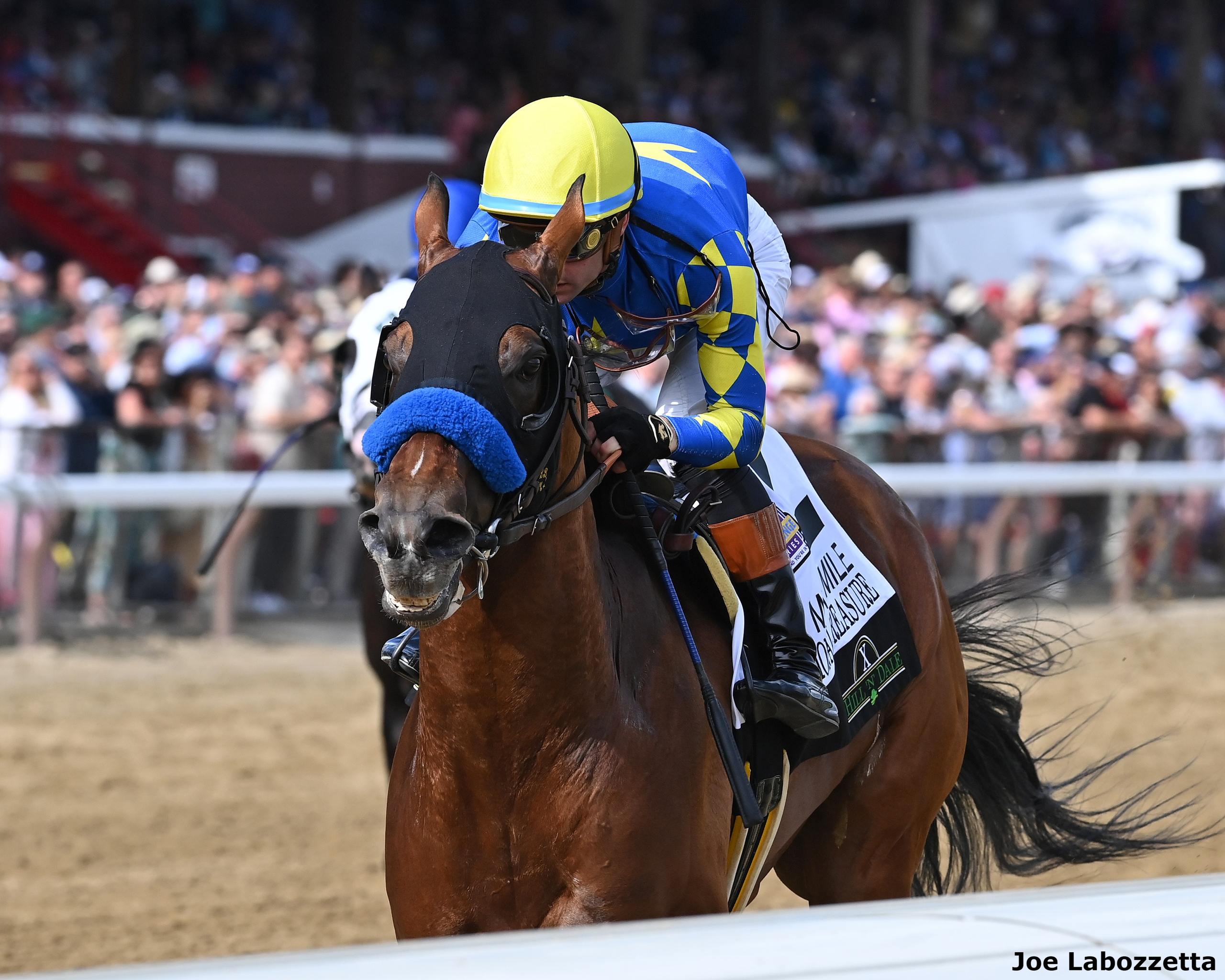 National Treasure Returns to Saratoga for G1 Whitney - Past The Wire