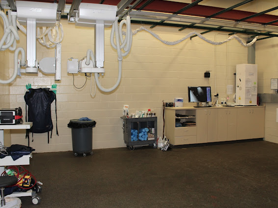 PET Technology Now Available at Rood & Riddle Equine Hospital - Past ...