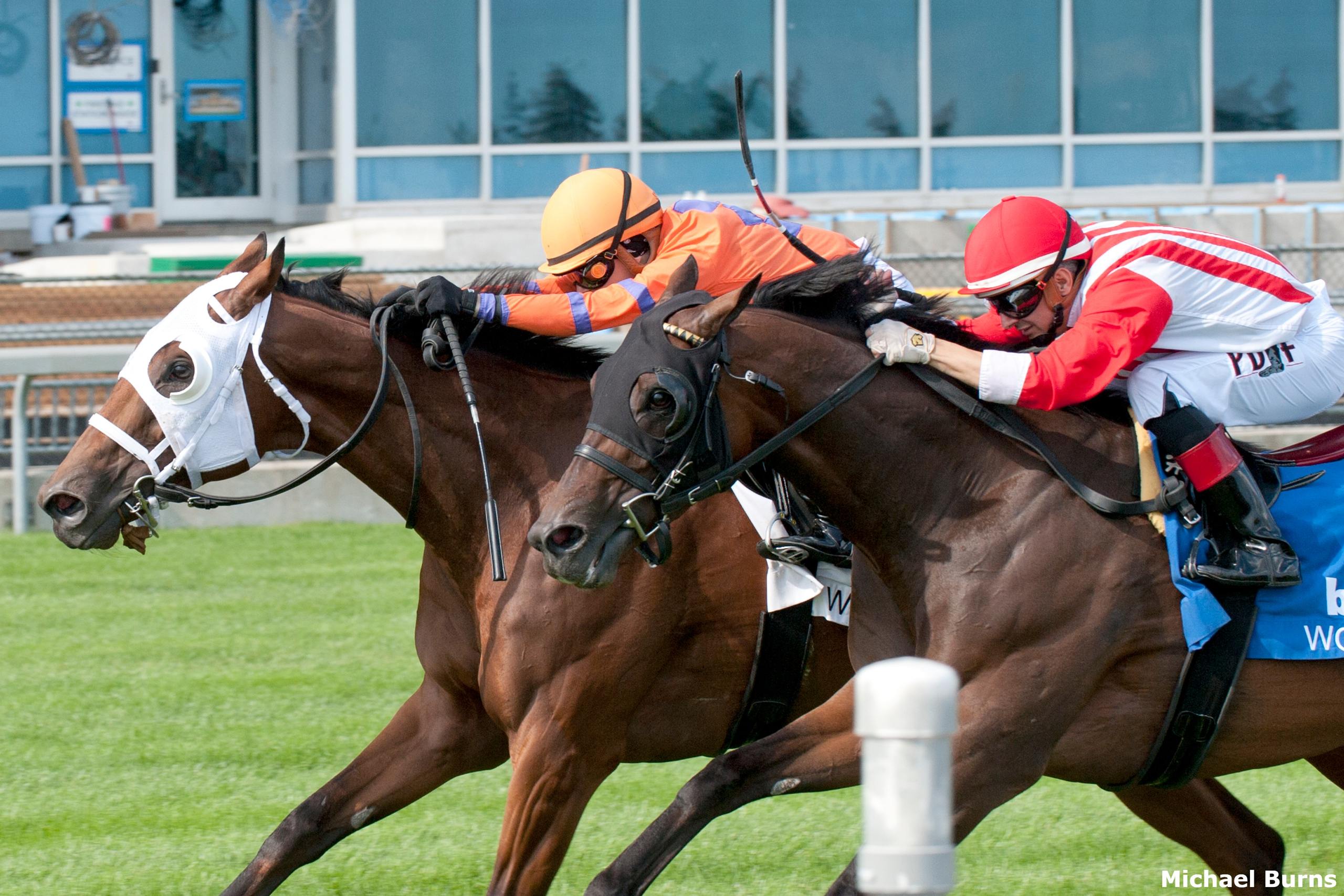 Cruden Bay Aims for Title Defense in G2 Connaught Cup - Past The Wire