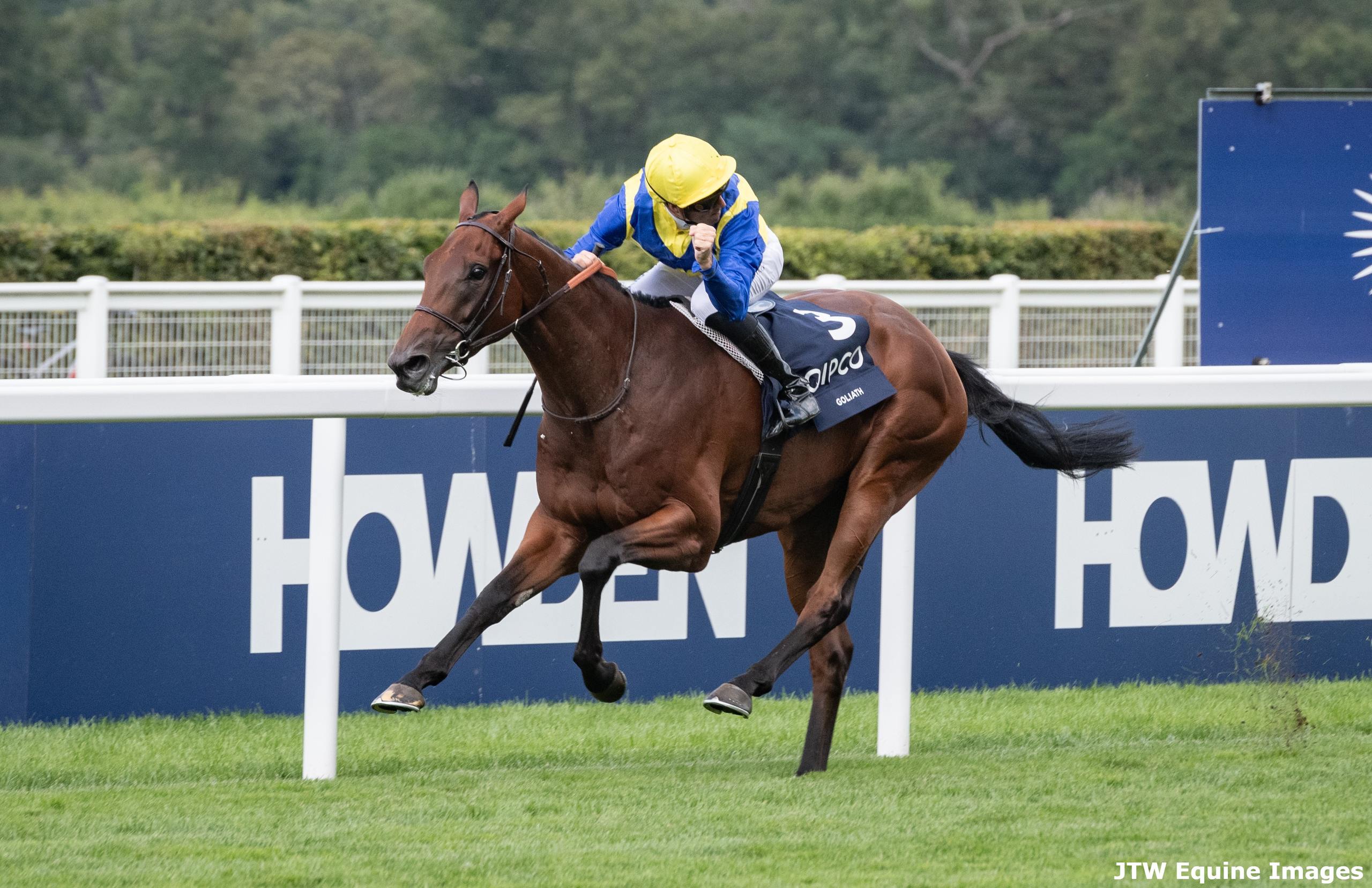 Goliath Becomes the Giant in King George Masterclass - Past The Wire