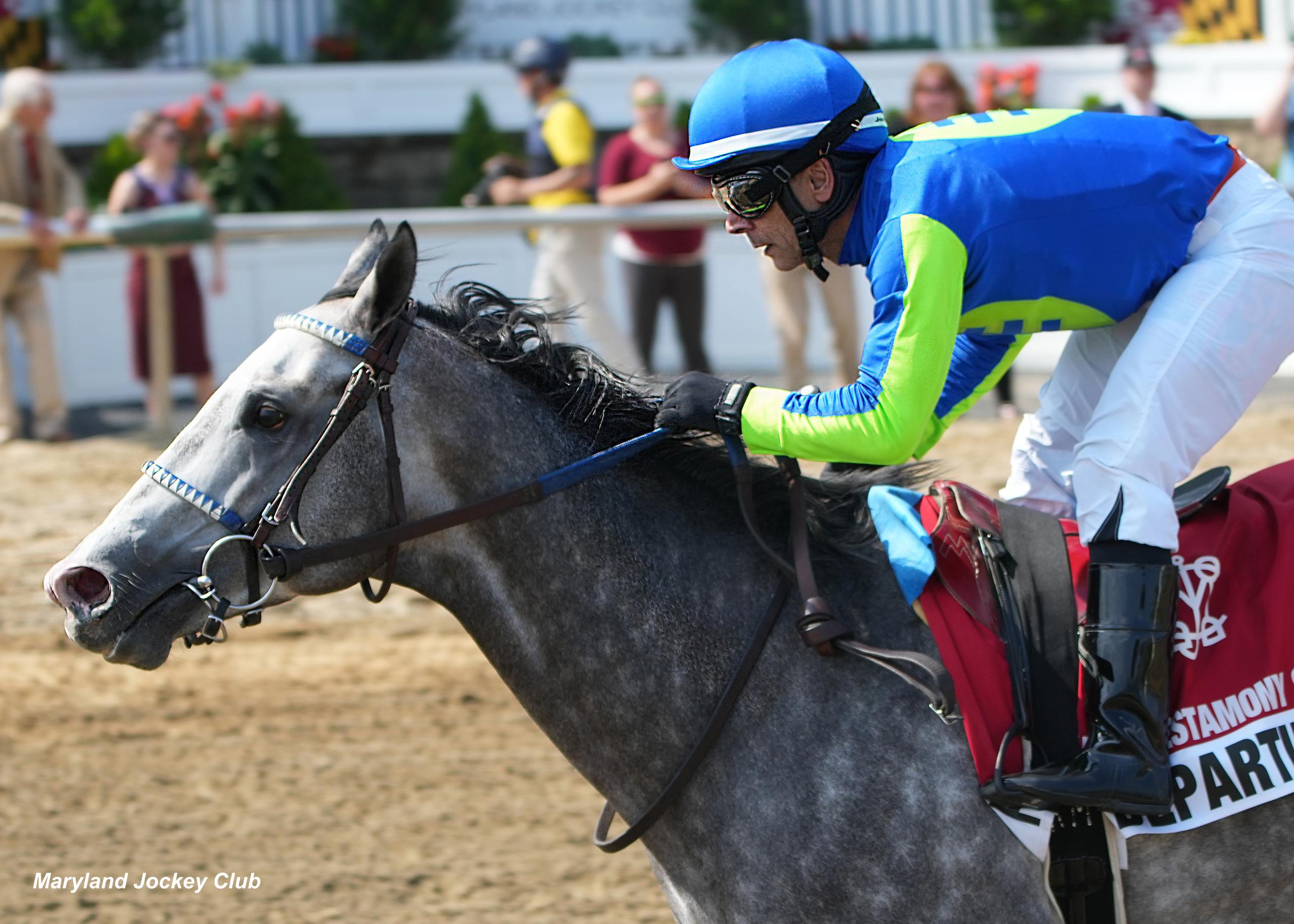Apple Picker Bounces in Alma North - Past The Wire