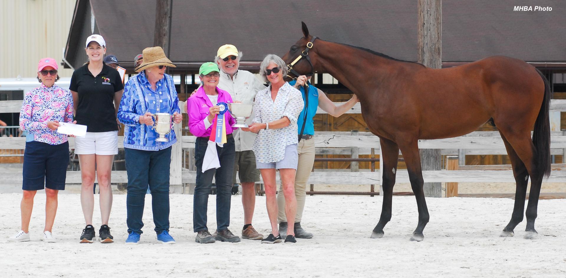 The Factor Colt Takes Top Honors - Past The Wire