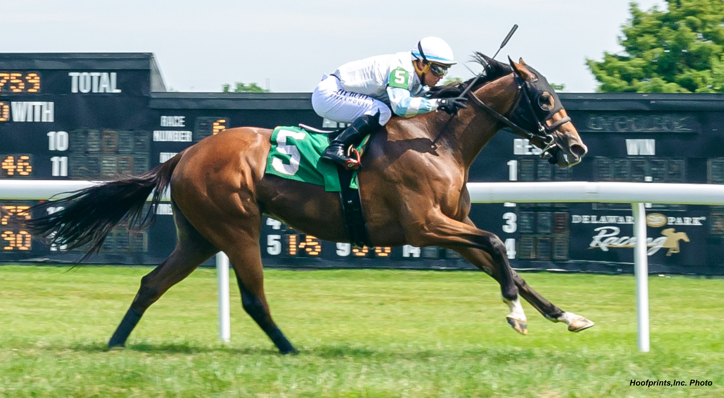 Whiskey Decision Cruises In Christiana Stakes - Past The Wire