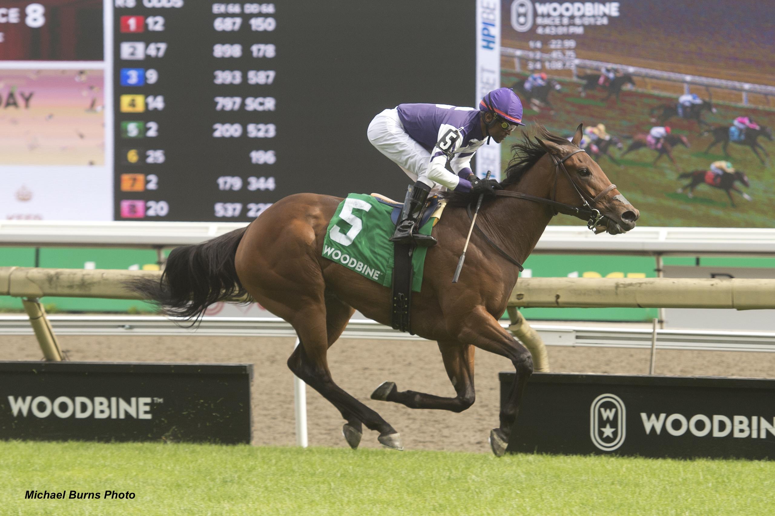 Play the Music Hopes for Stakes Sonata in Hendrie - Past The Wire