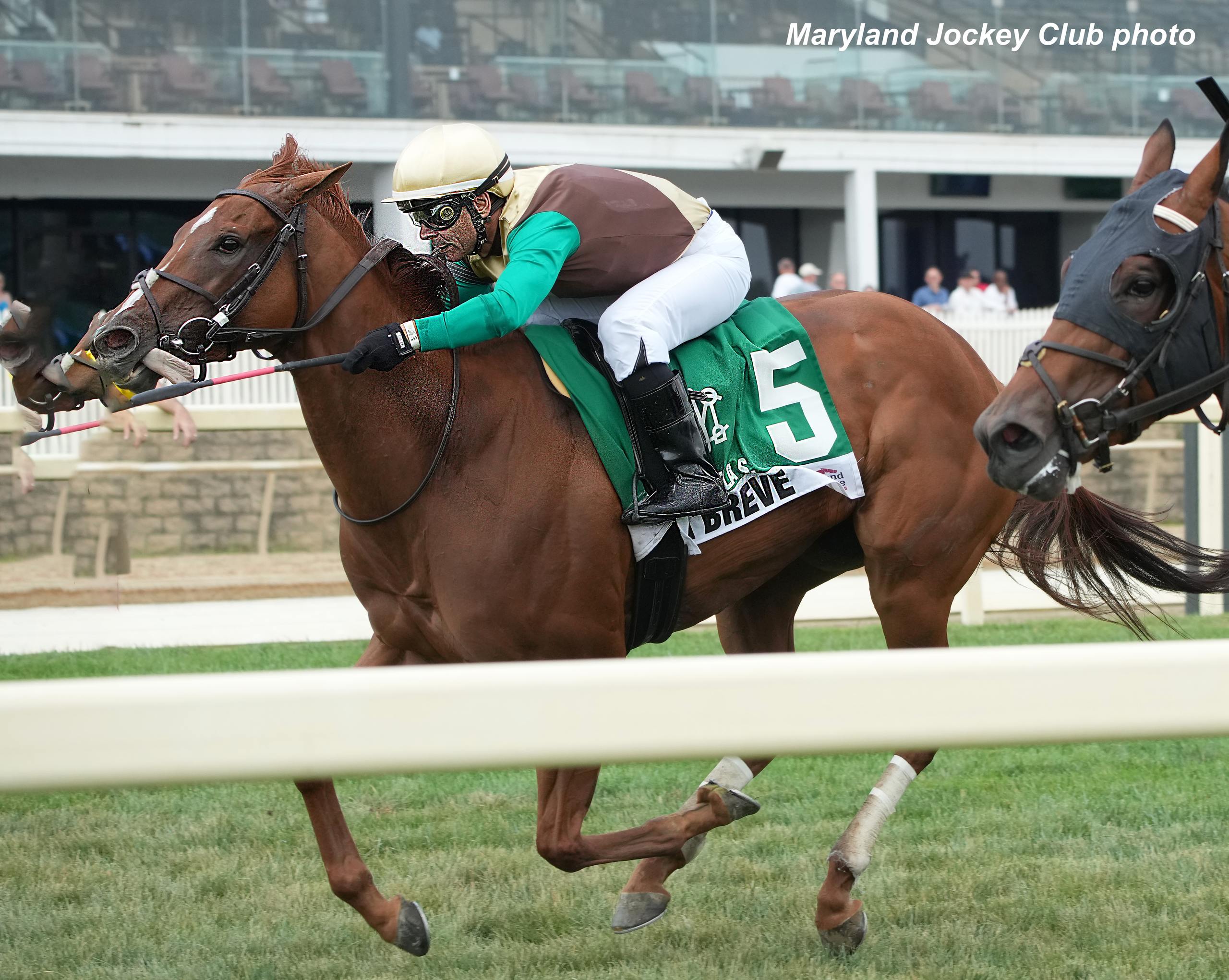 Alla Breve Nips the Photo in Jameela - Past The Wire