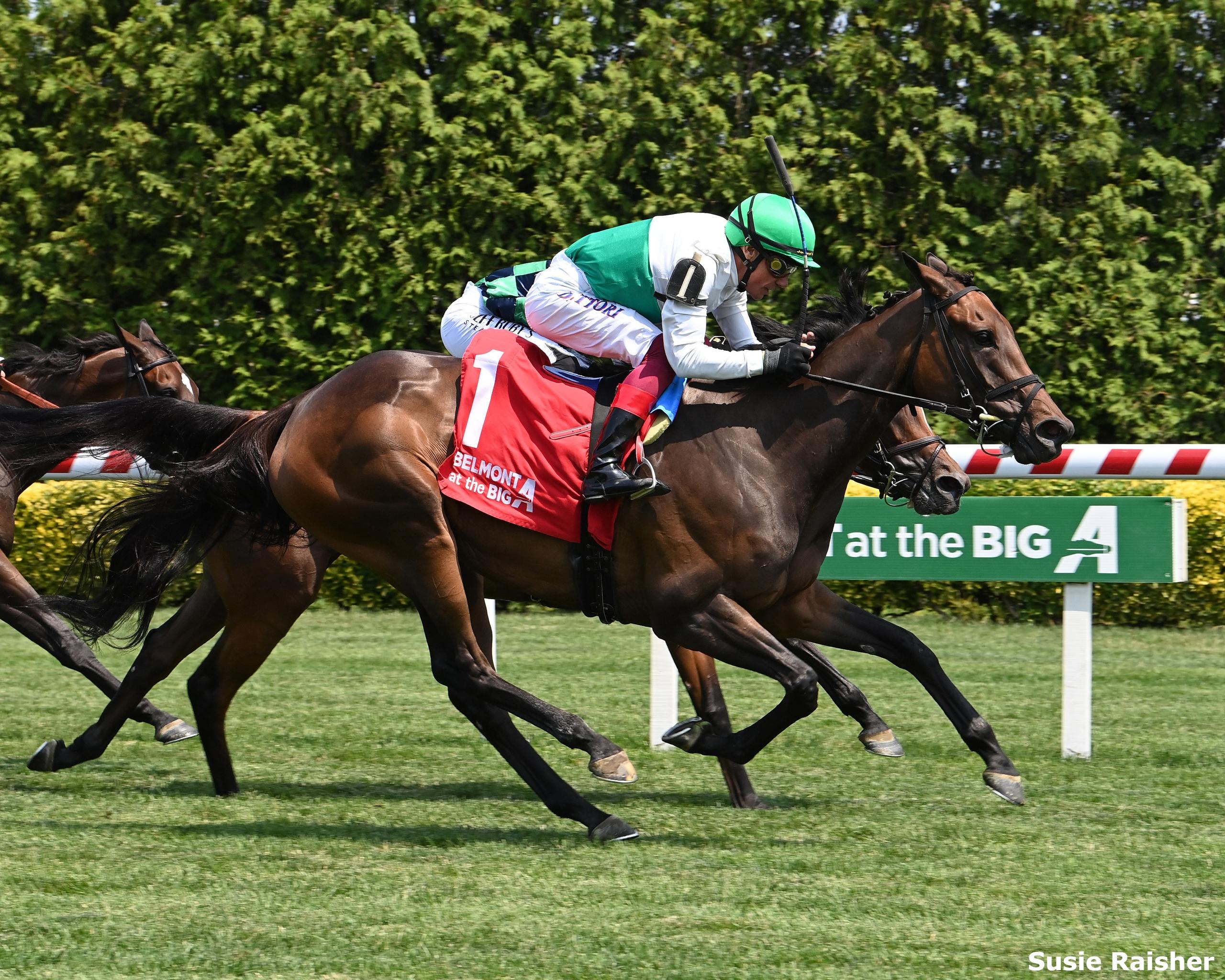 Mouffy Prevails in Perfect Sting - Past The Wire