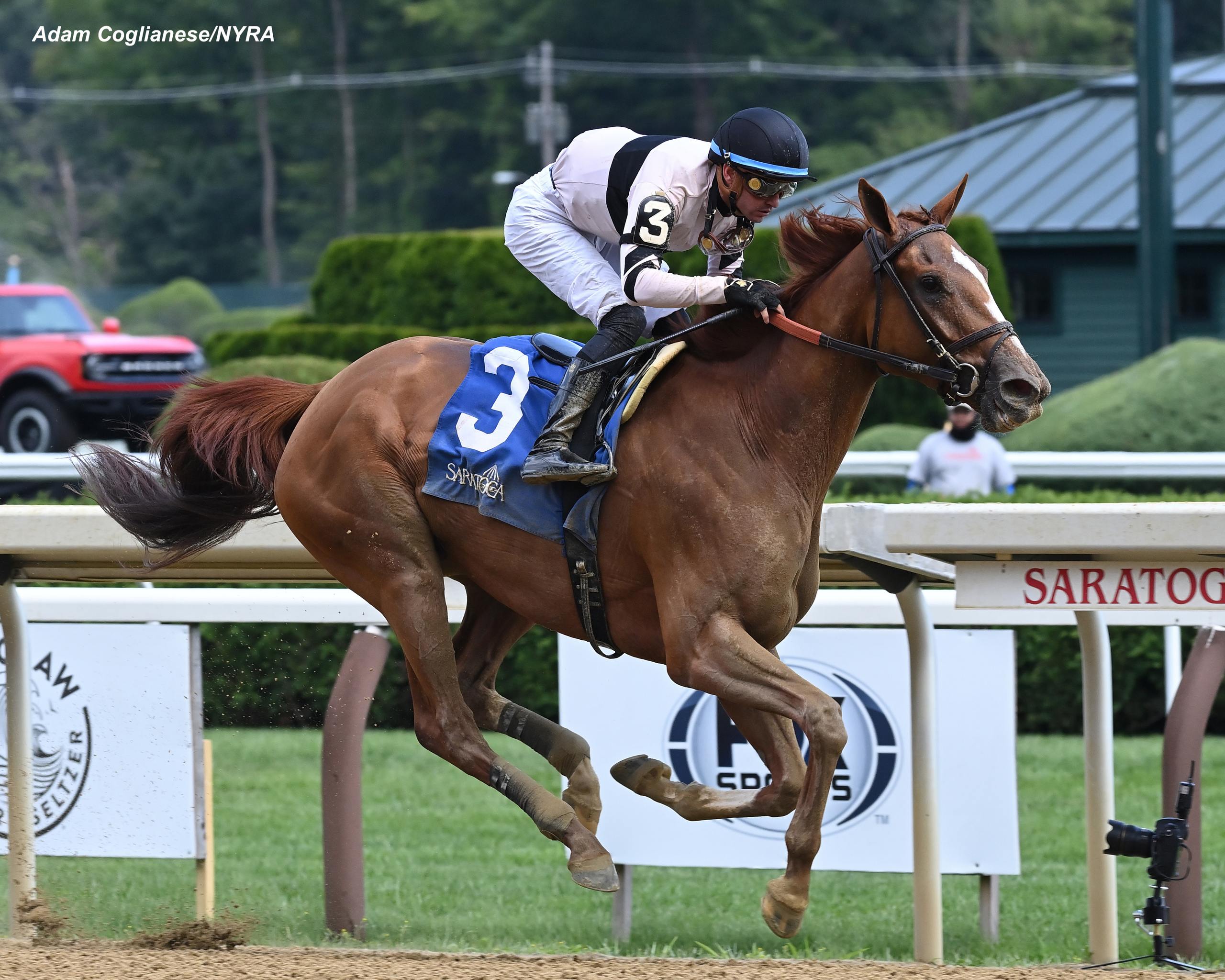 Raging Sea Swells a Rally in G2 Shuvee - Past The Wire