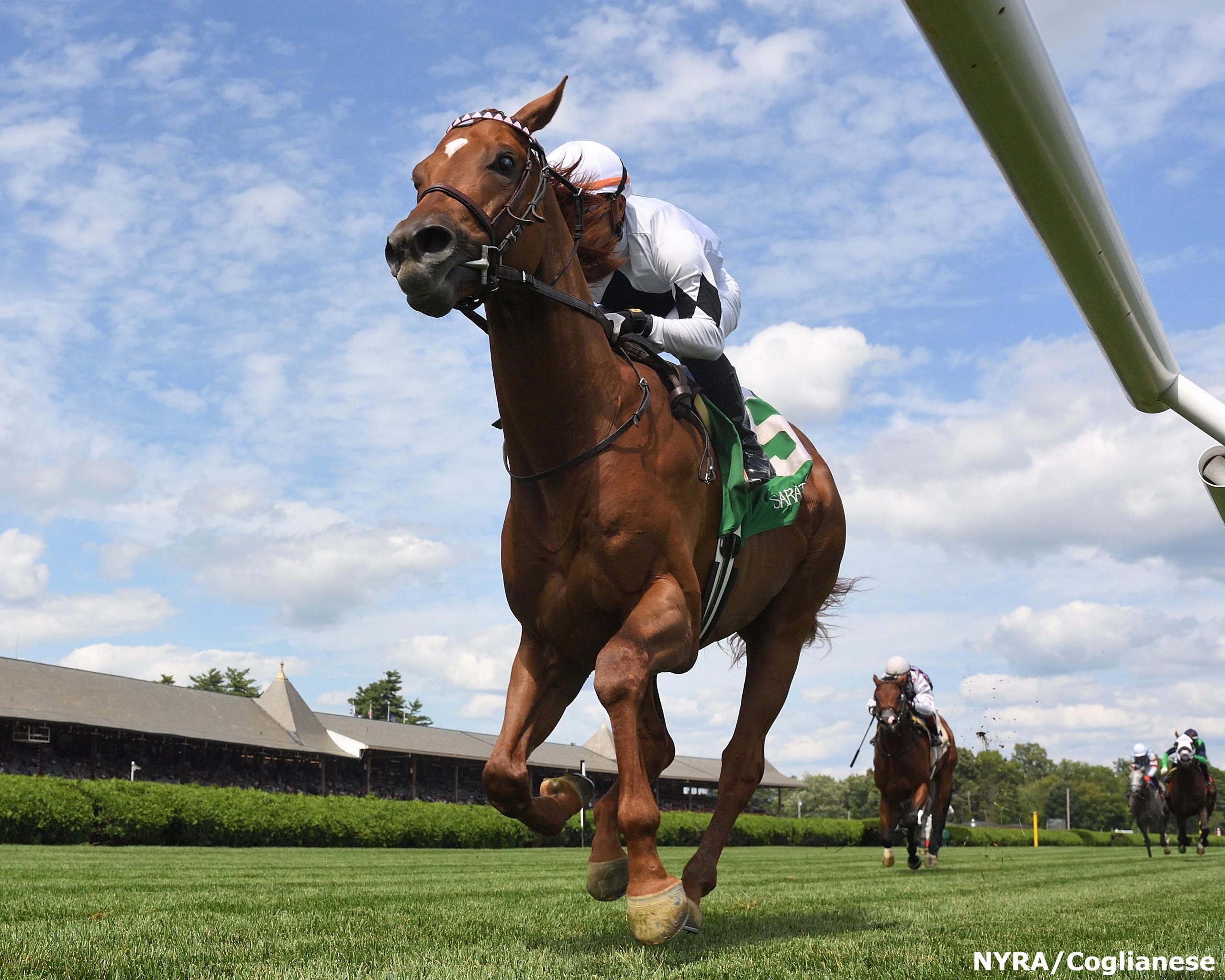 The Big Torpedo on the Improve With Spectacular Bid Triumph - Past The Wire