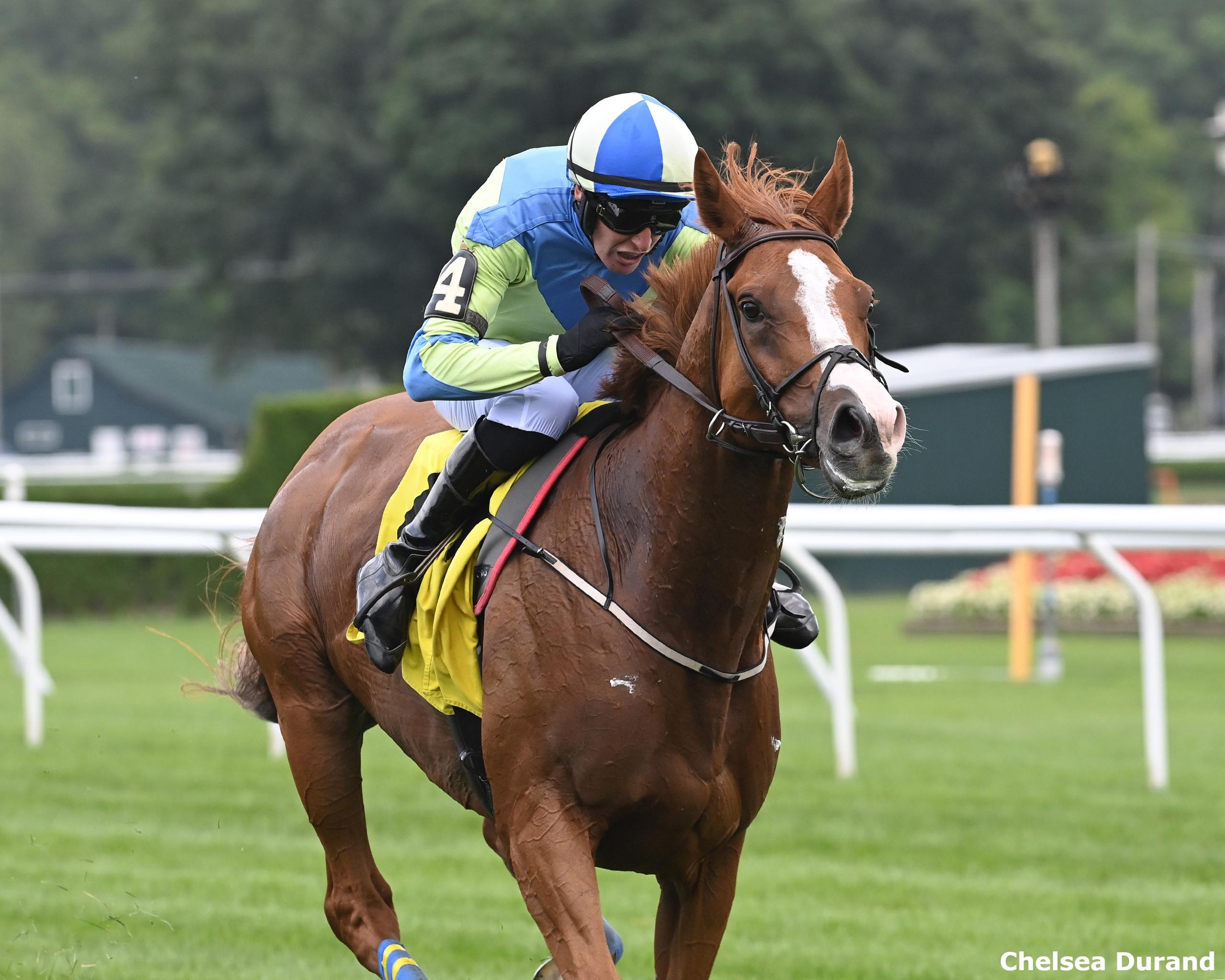 Ziggle Pops Dominates G1 A.P. Smithwick Memorial - Past The Wire