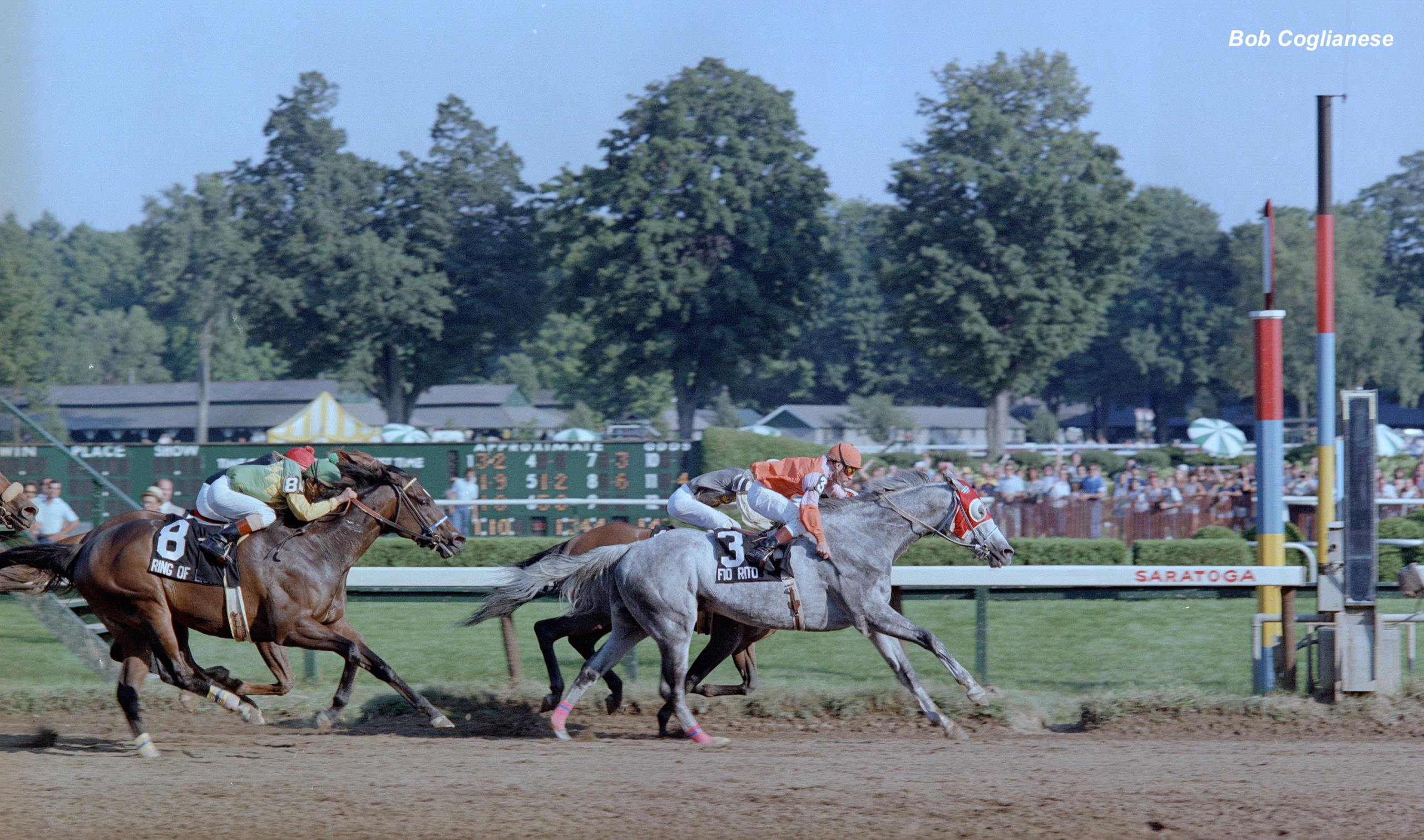 Fio Rito and The Mystery of the Albany Handicap - Past The Wire