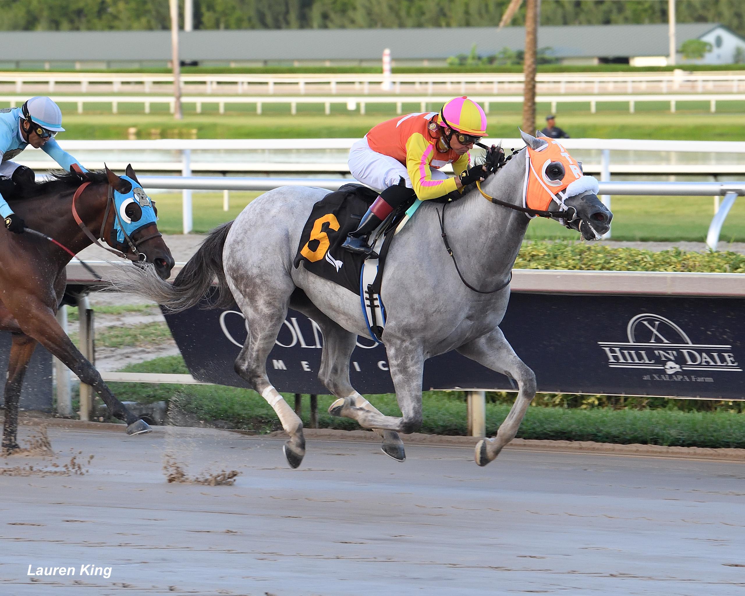 Comedy Town Mocks the Competition in Benny the Bull - Past The Wire