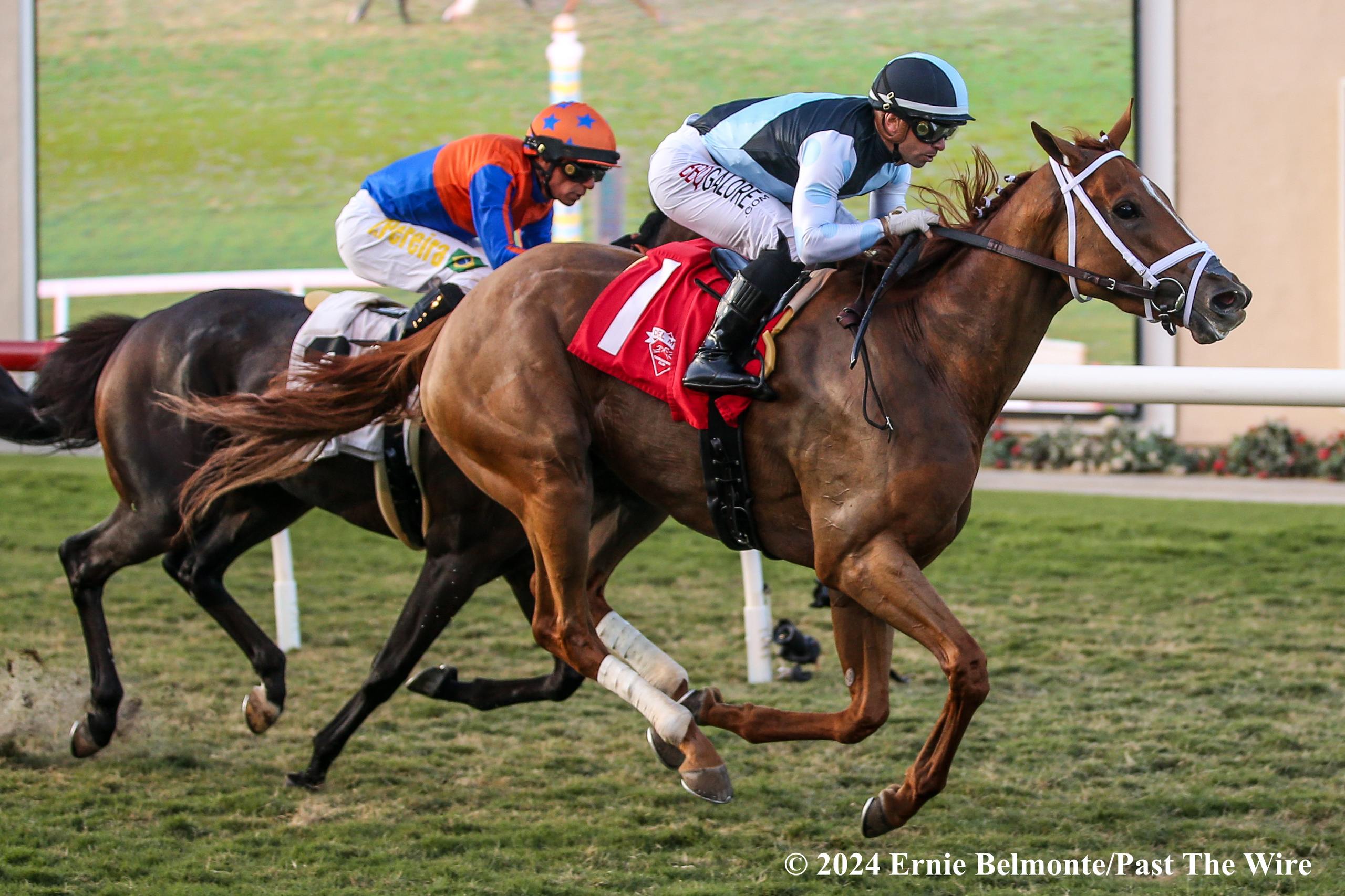 Sunset Glory Perfect Timing in CTT & TOC - Past The Wire