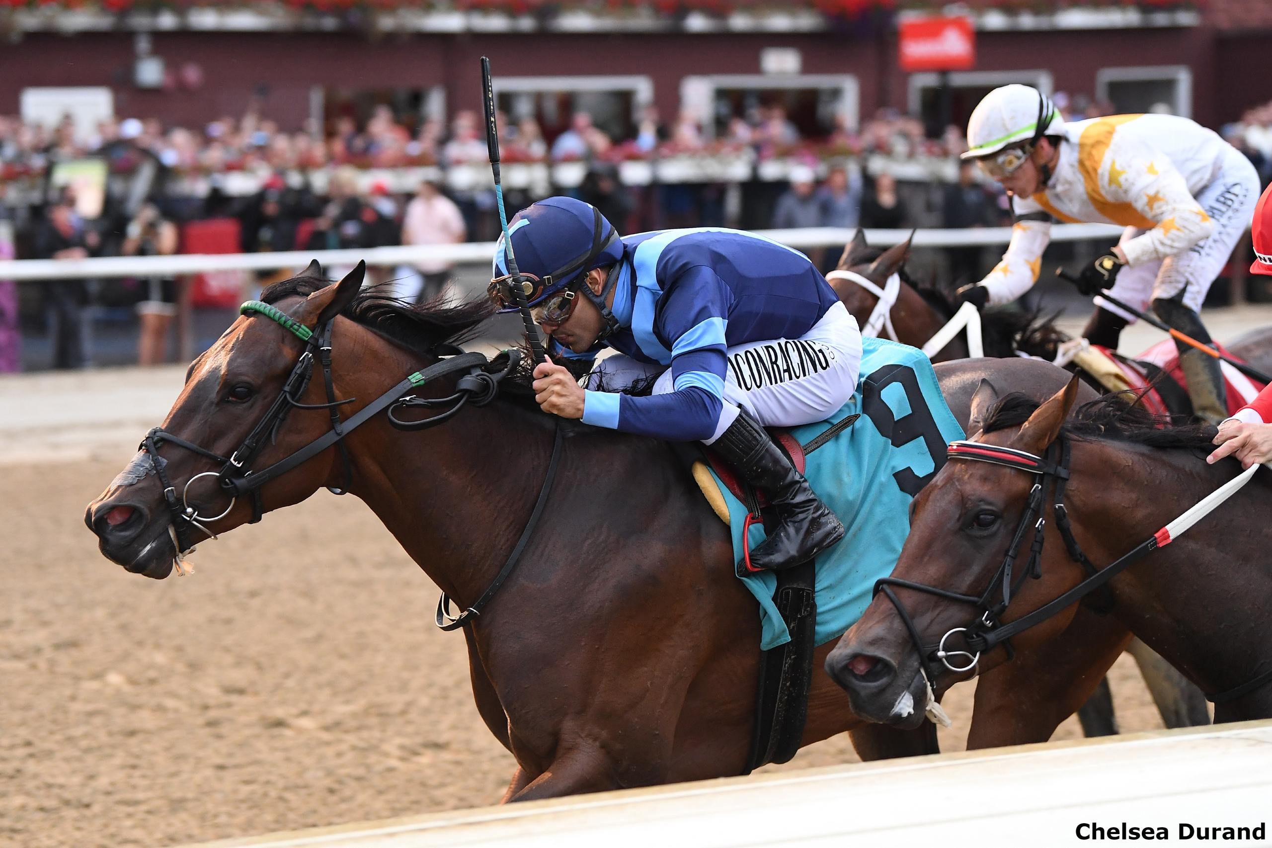 Brightwork Digs in to Win G3 Prioress - Past The Wire