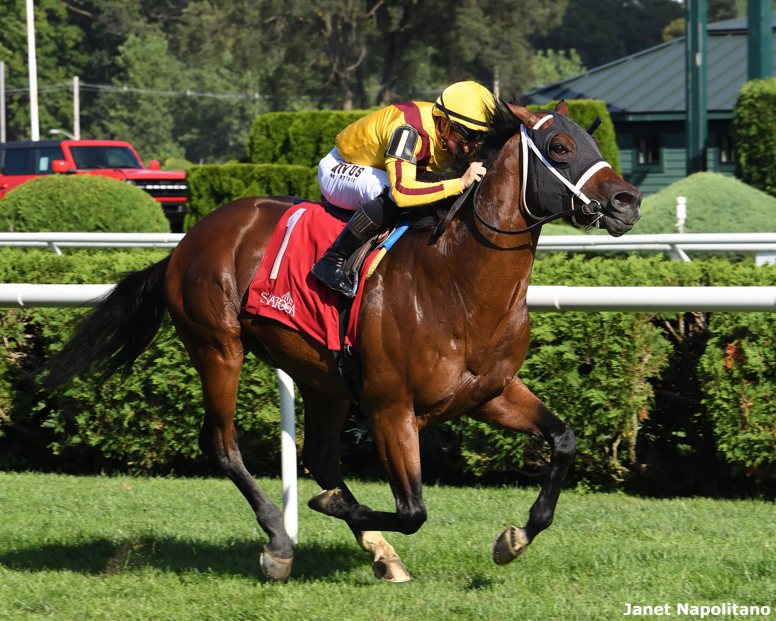 Fandom Fends off Late Charge in Mahony - Past The Wire