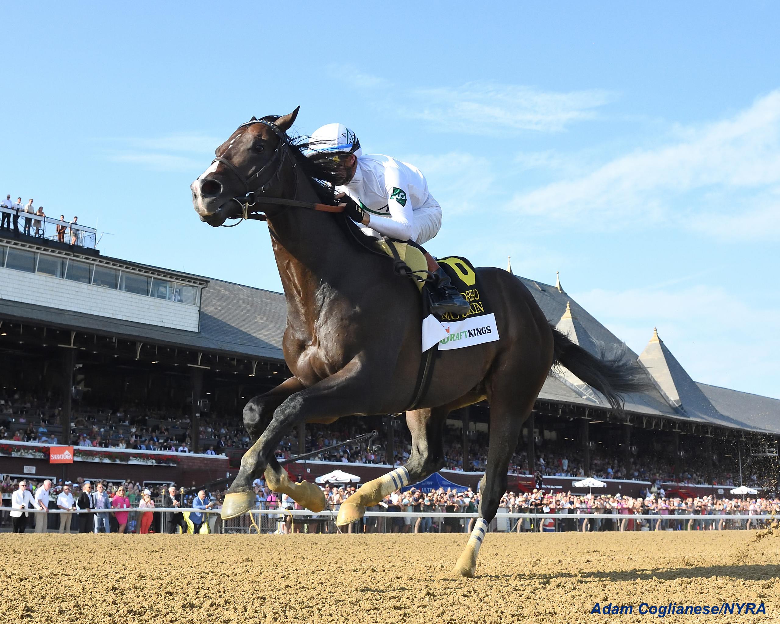 Over and Ollie Live Longshot in G1 Forego - Past The Wire