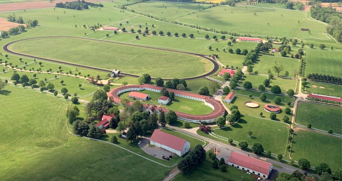 Sagamore Farm > Training Center > No Brainer - Past The Wire