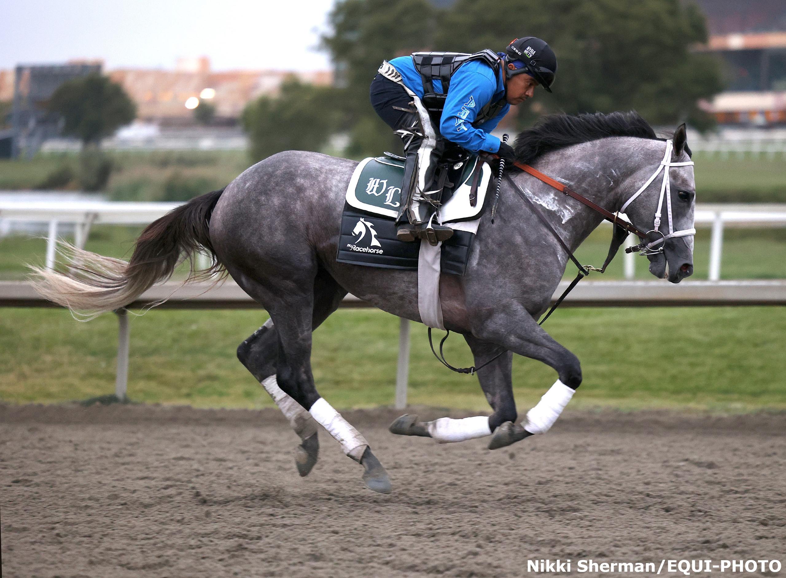 Past the Wire, Weekend Preview, Pa Derby and more - Past The Wire