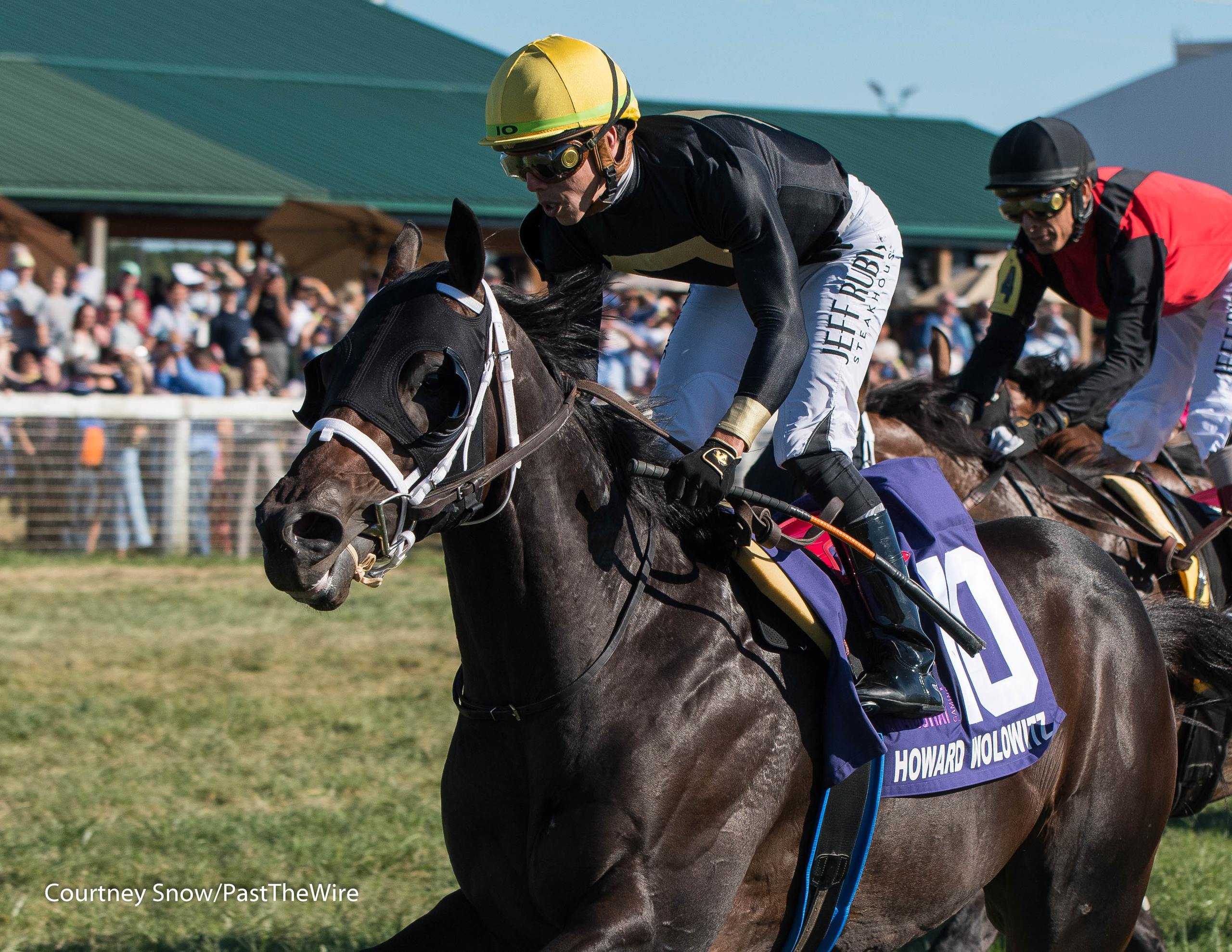 Howard Wolowitz Arrives in Saudi Arabia for G2 Turf Sprint - Past The Wire