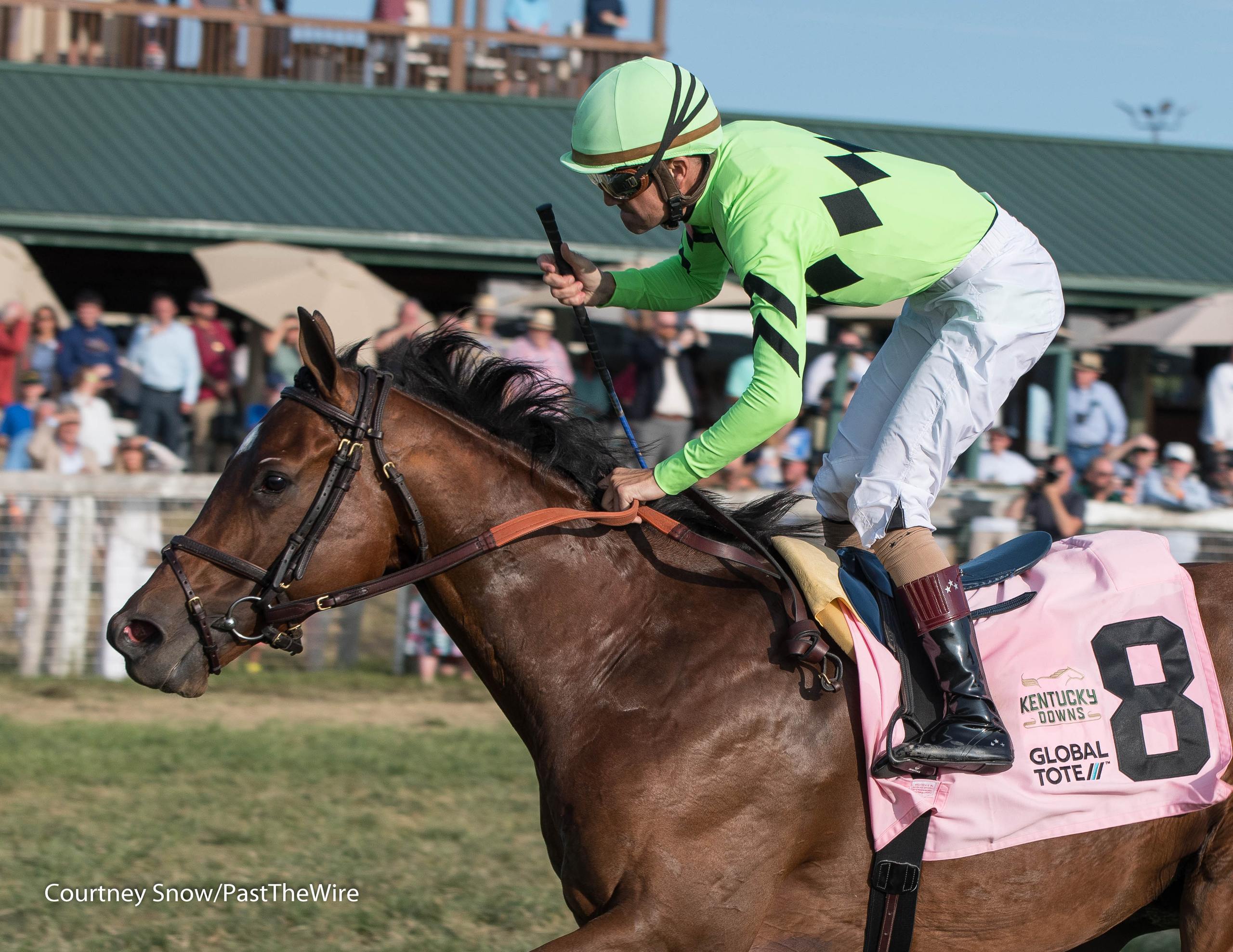 Brilliant Berti Proves Best in Gun Runner - Past The Wire