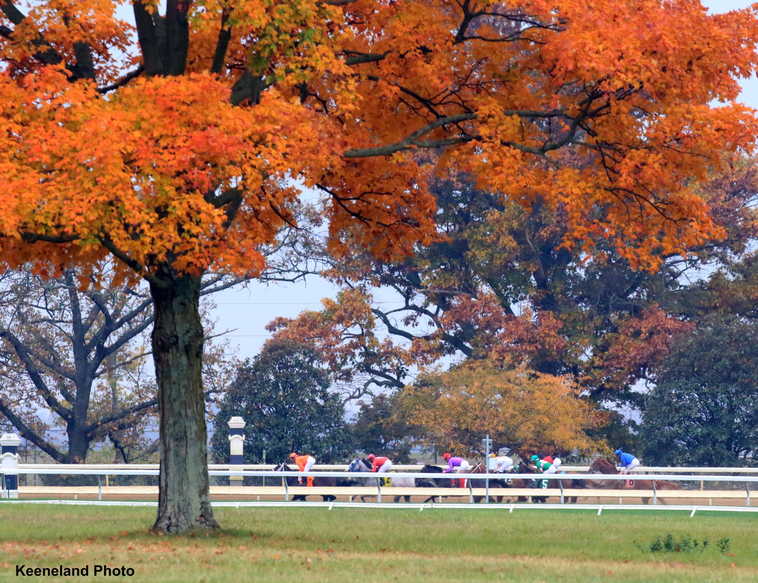 History-making Keeneland Fall Meet - Past The Wire