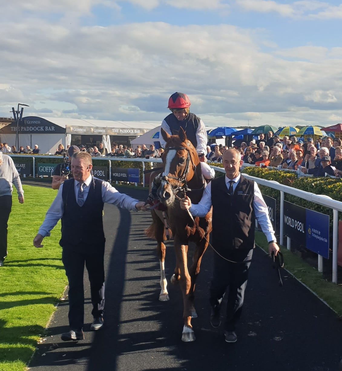 Kyprios Wins Irish St Leger at The Curragh - Past The Wire