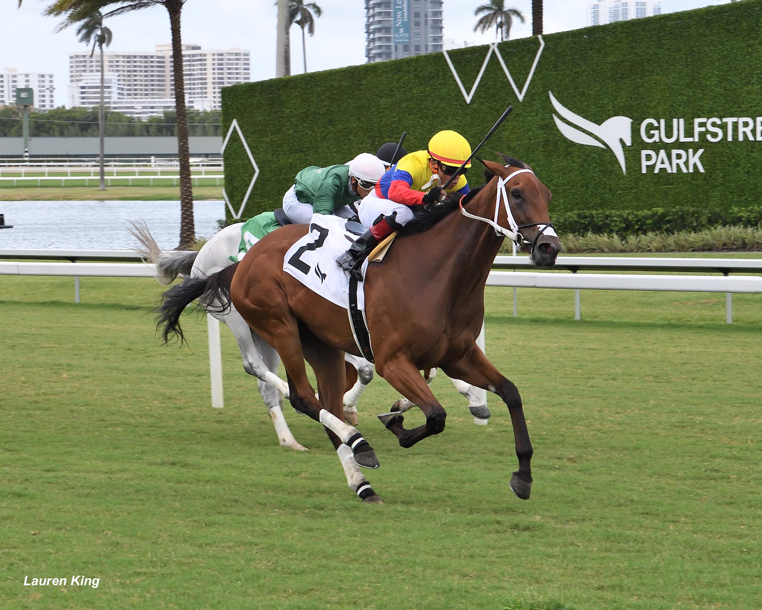 Joseph Brings Quartet to Ginger Punch - Past The Wire