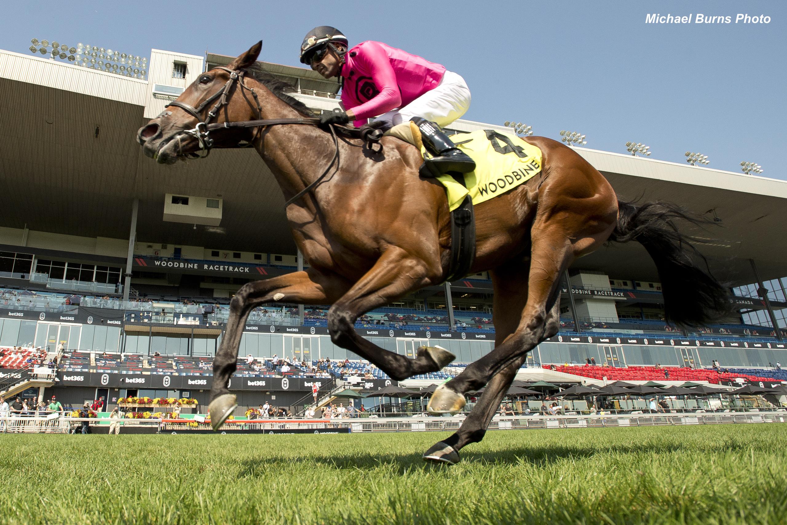 Souper Supreme Simply Superb in Victorian Queen - Past The Wire