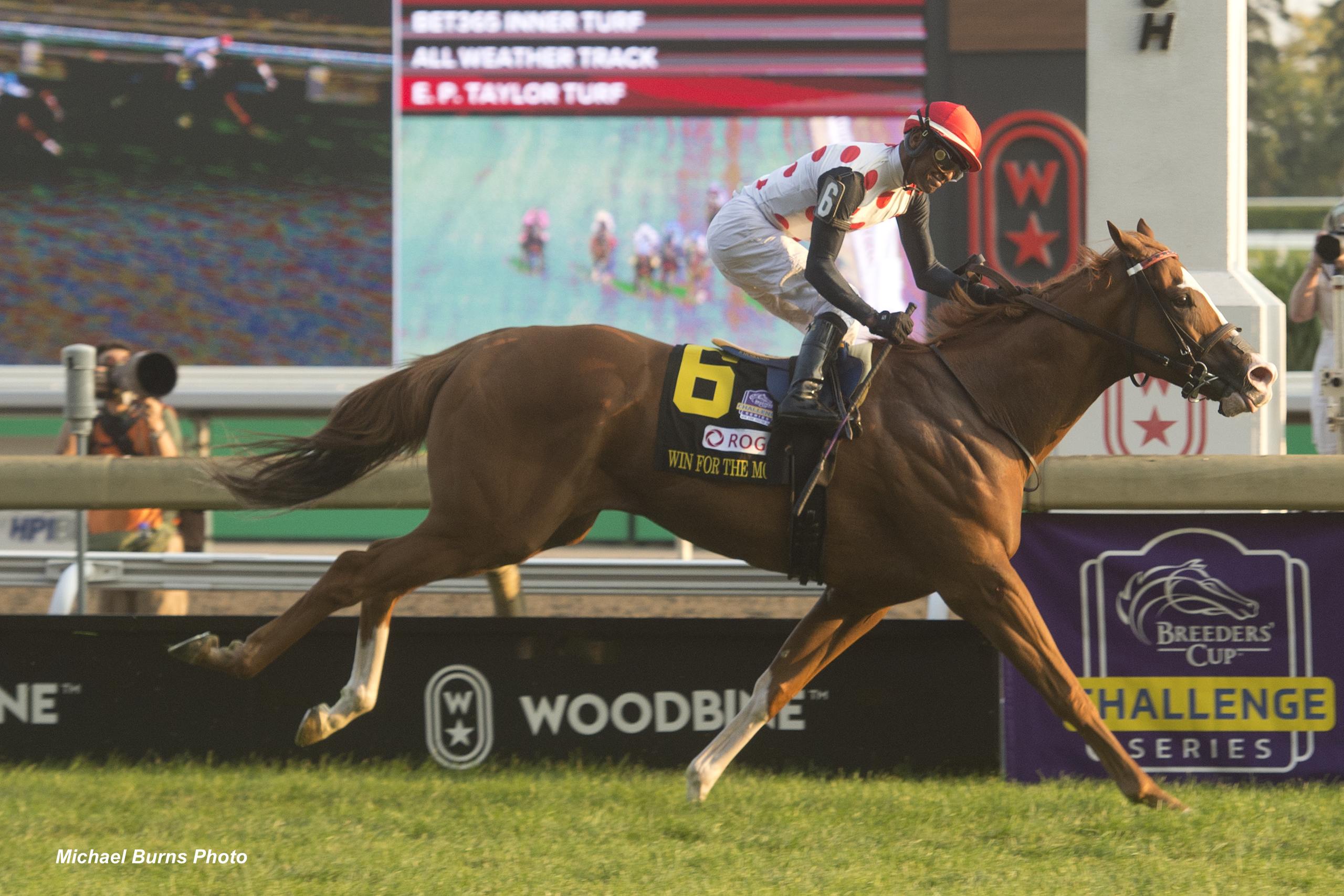 Strong Numbers for Turf Champions Day - Past The Wire