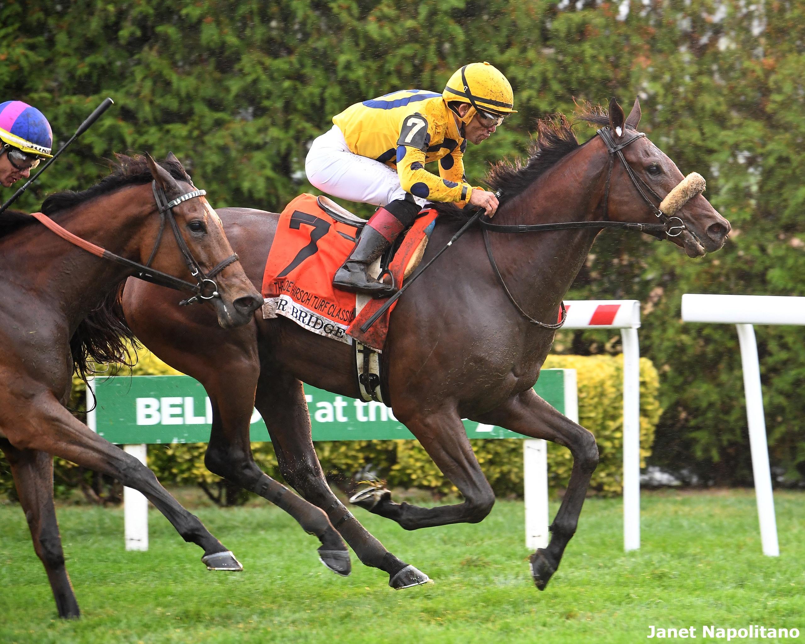 Far Bridge Takes Down G1 Joe Hirsch Turf Classic - Past The Wire