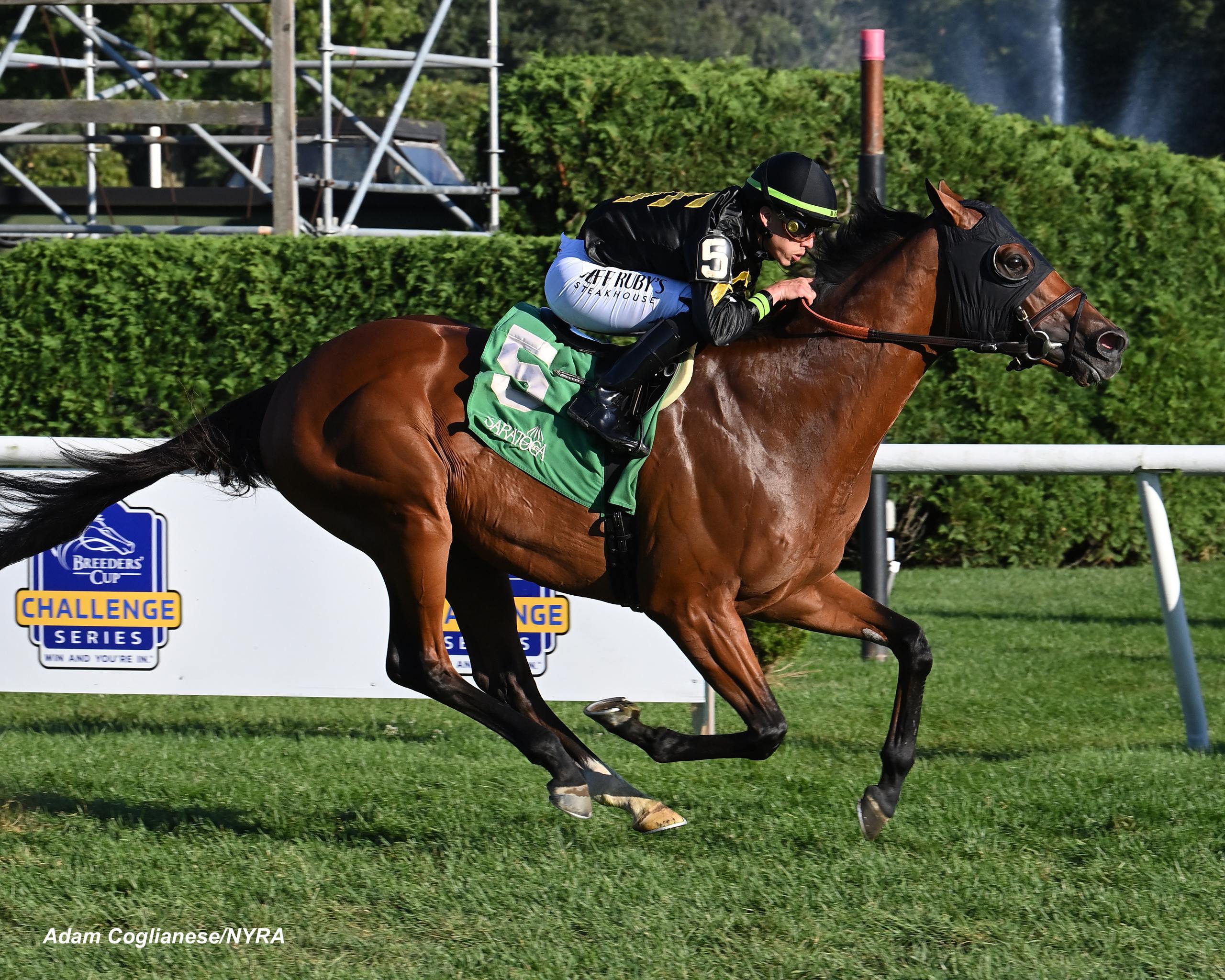 Running Bee on Cruise Control in Bernard Baruch - Past The Wire