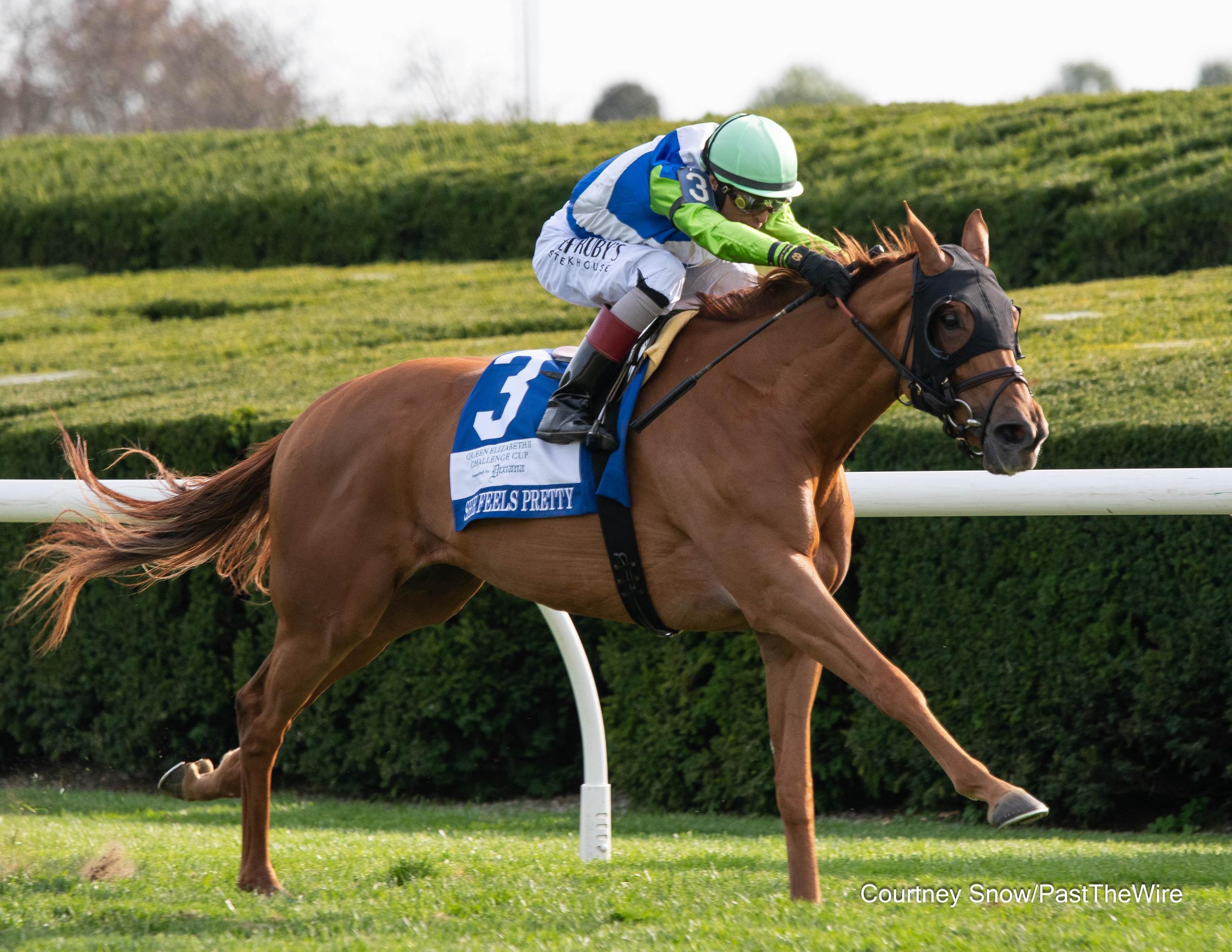 She Feels Pretty Record-Breaking Winner of G1 QEII Challenge Cup - Past ...
