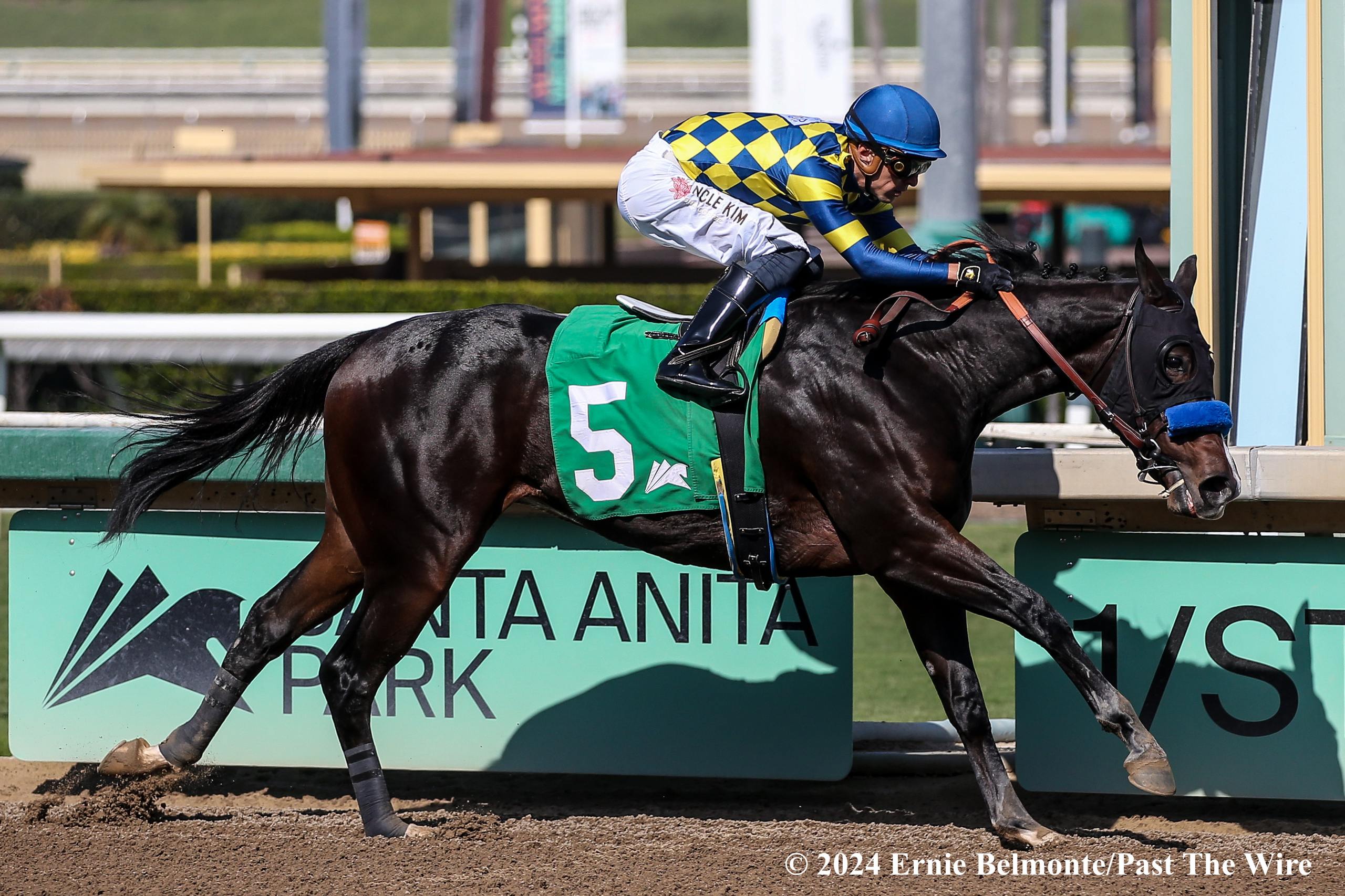 Silent Law Stays Perfect in Anoakia - Past The Wire