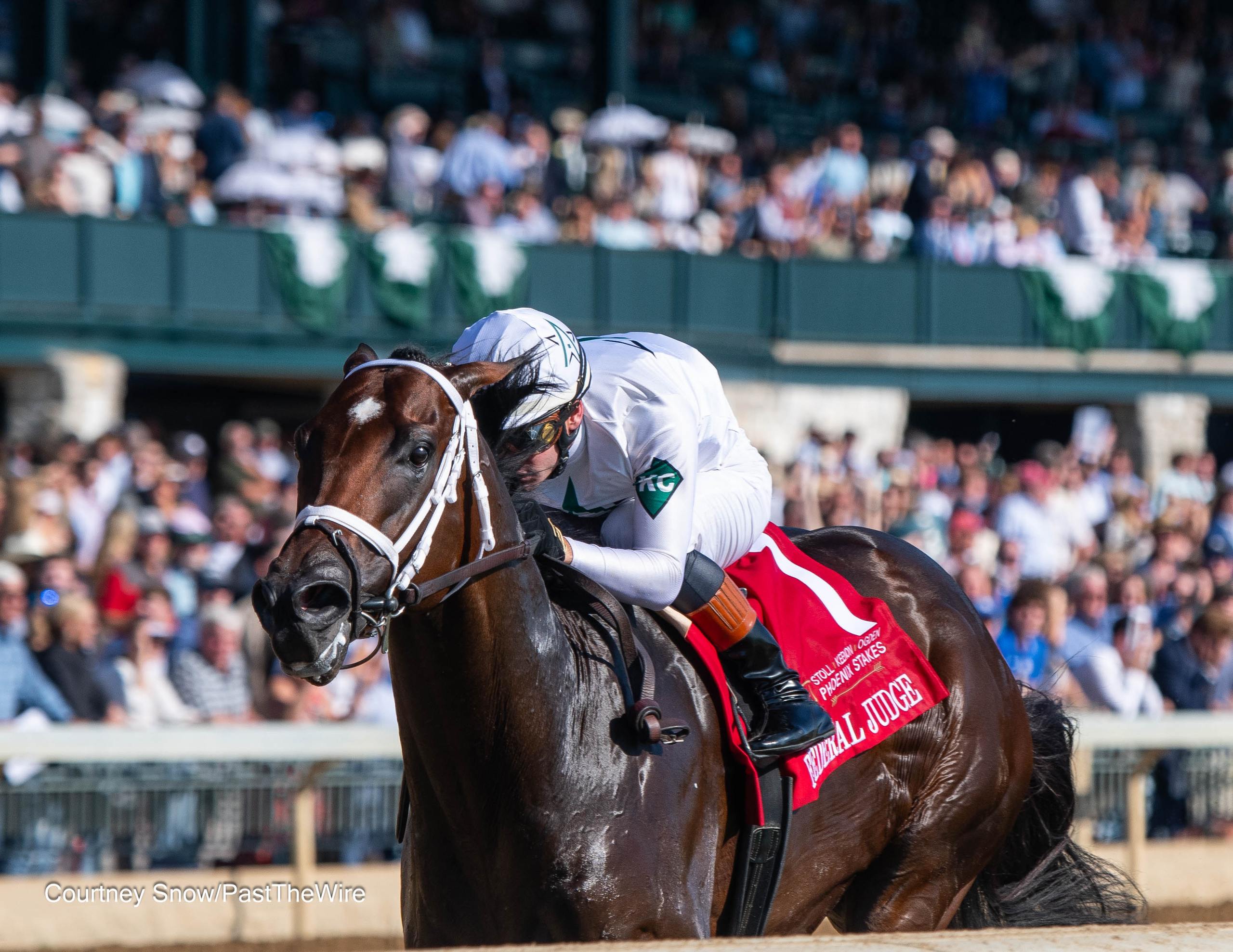 Federal Judge Gavels Field in G2 Phoenix - Past The Wire
