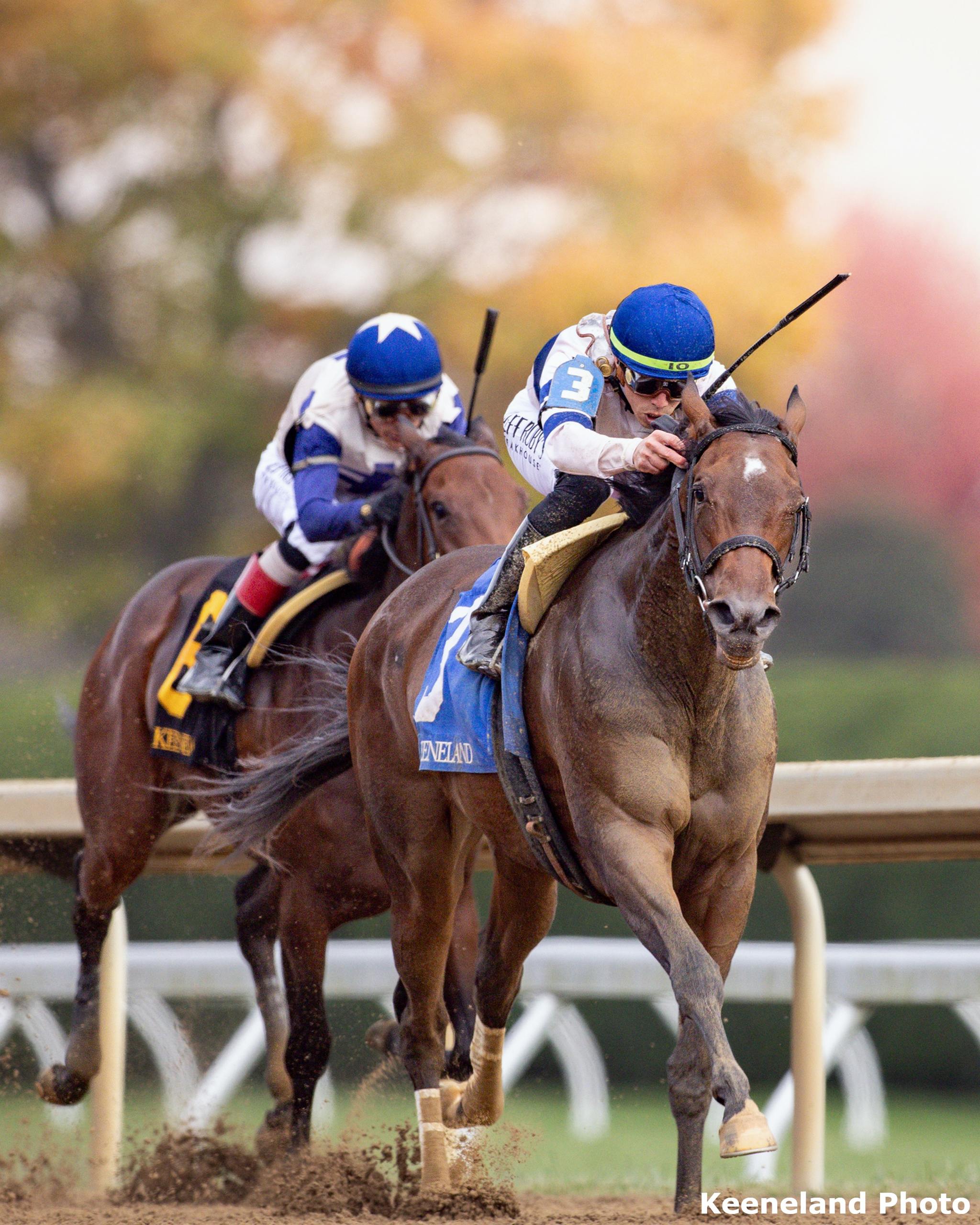 Echo Sound Remains Unbeaten With Myrtlewood Victory - Past The Wire